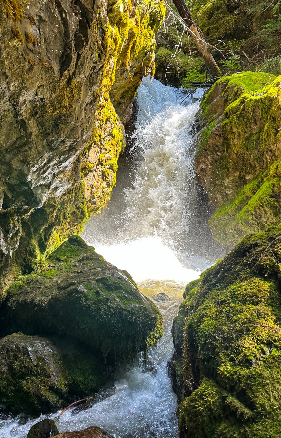 Goat Falls — Washington Trails Association