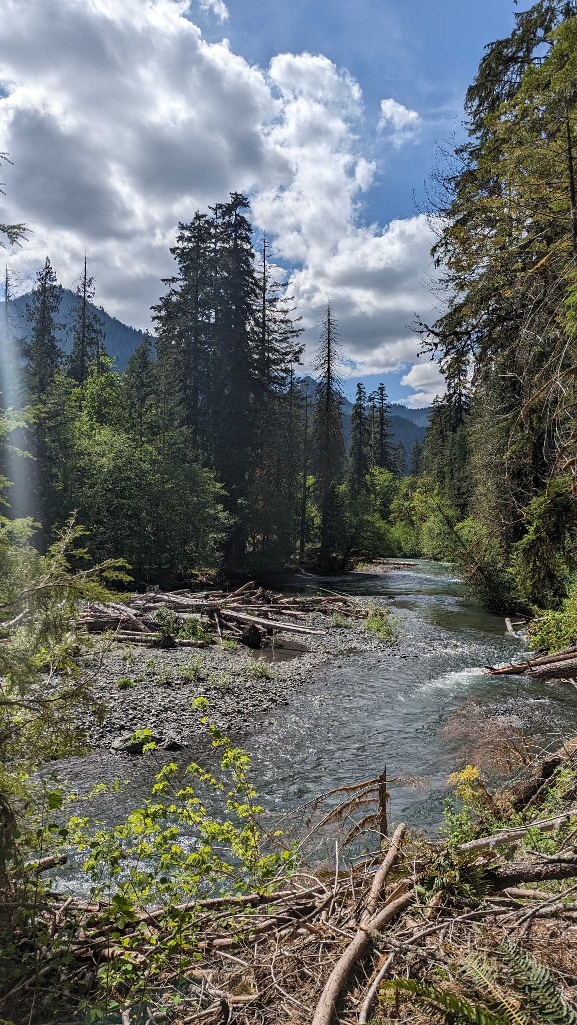 Staircase Rapids, North Fork Skokomish River — Washington Trails ...