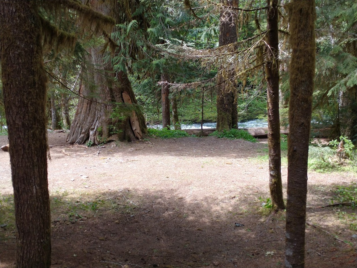 North Fork Skokomish River — Washington Trails Association