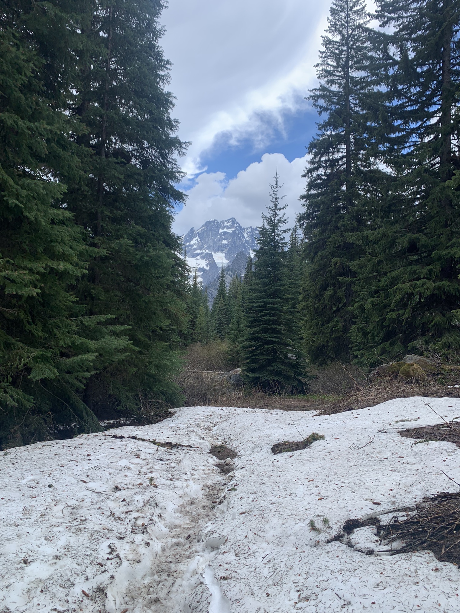 Lake Stuart — Washington Trails Association