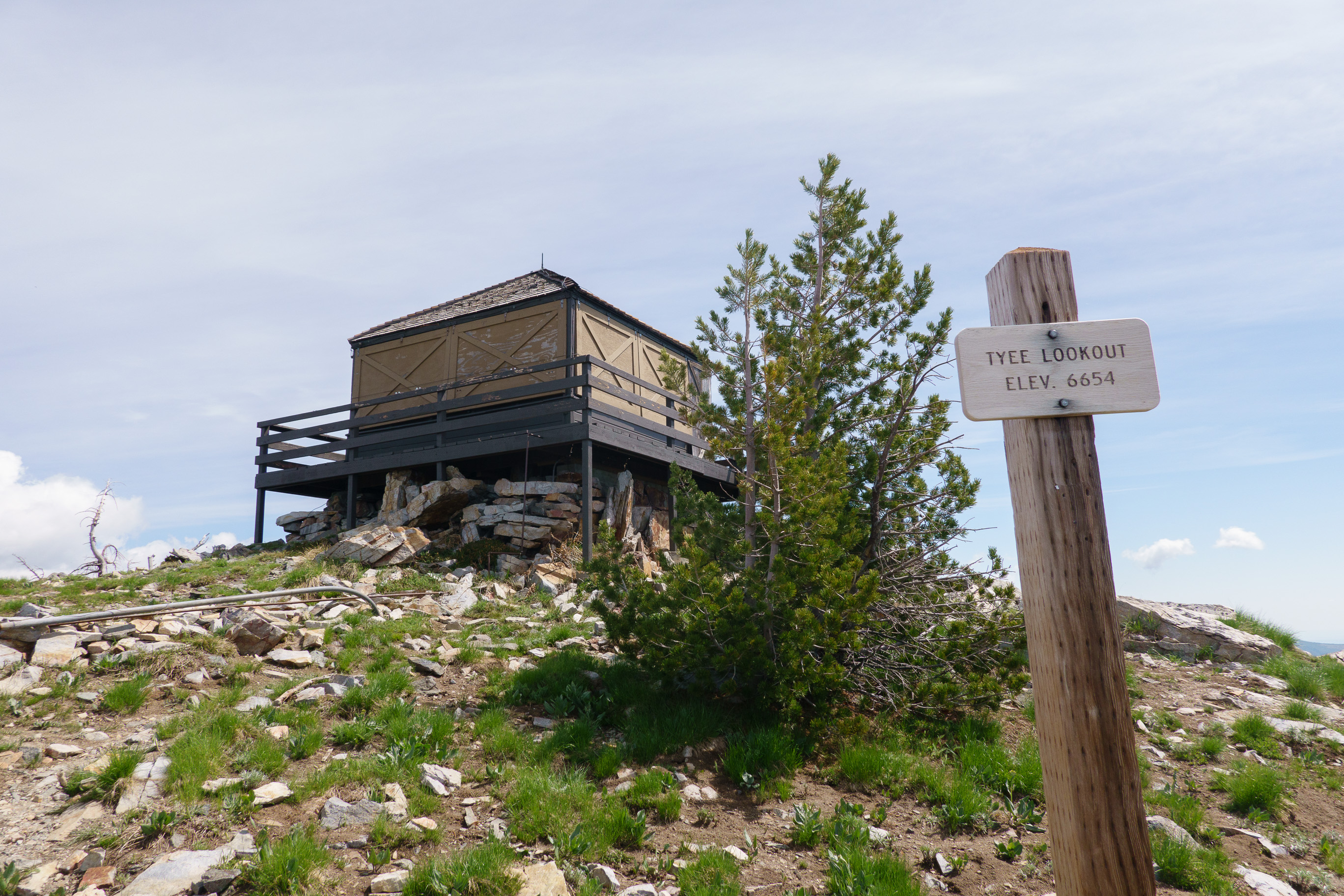 Tyee Lookout, Billy Ridge — Washington Trails Association