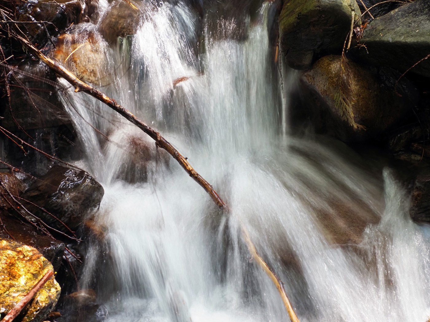 Reiter Foothills Forest Trails — Washington Trails Association