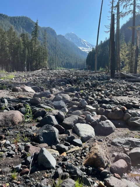 Tahoma Creek Suspension Bridge - Emerald Ridge Loop, Tahoma Creek — Washington Trails Association