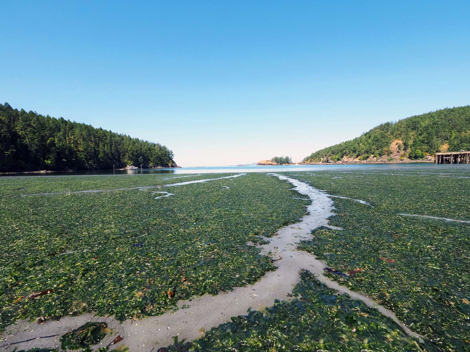 Deception Pass State Park - Headlands / Rosario Head / Lighthouse Point ...