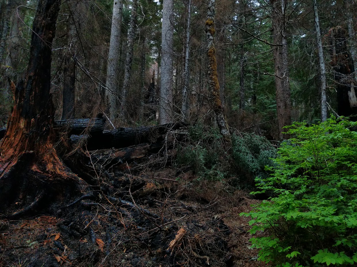Boulder Lake — Washington Trails Association