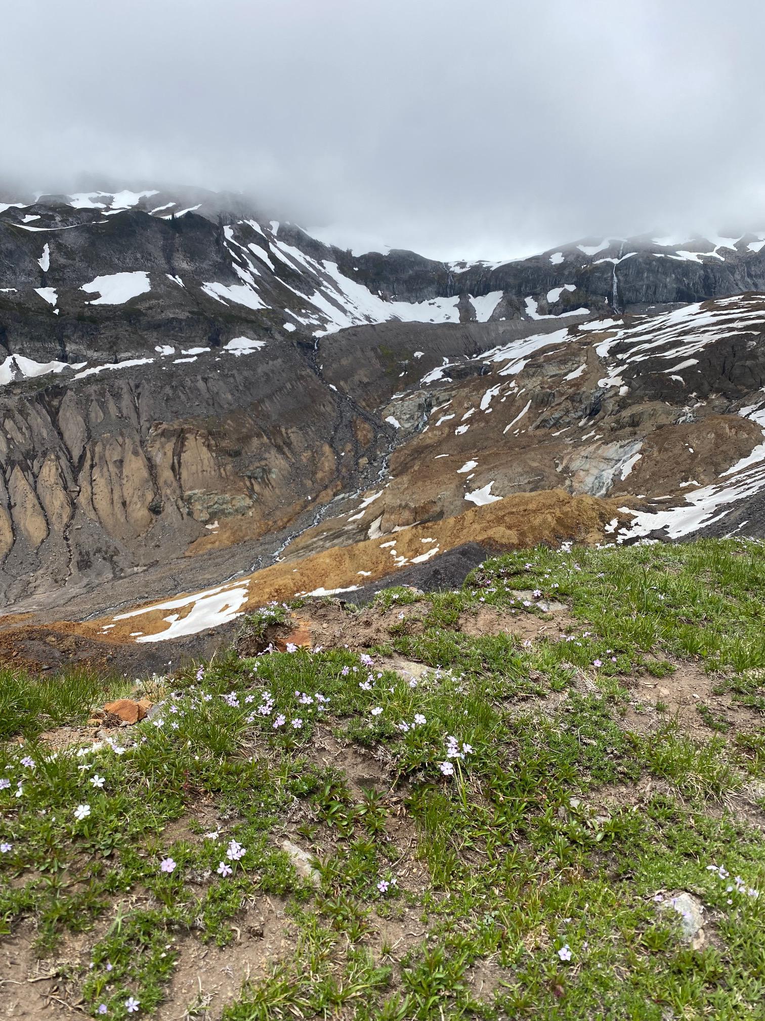 Westside Road, South Puyallup Trail, Tahoma Creek Suspension Bridge - Emerald Ridge Loop ...