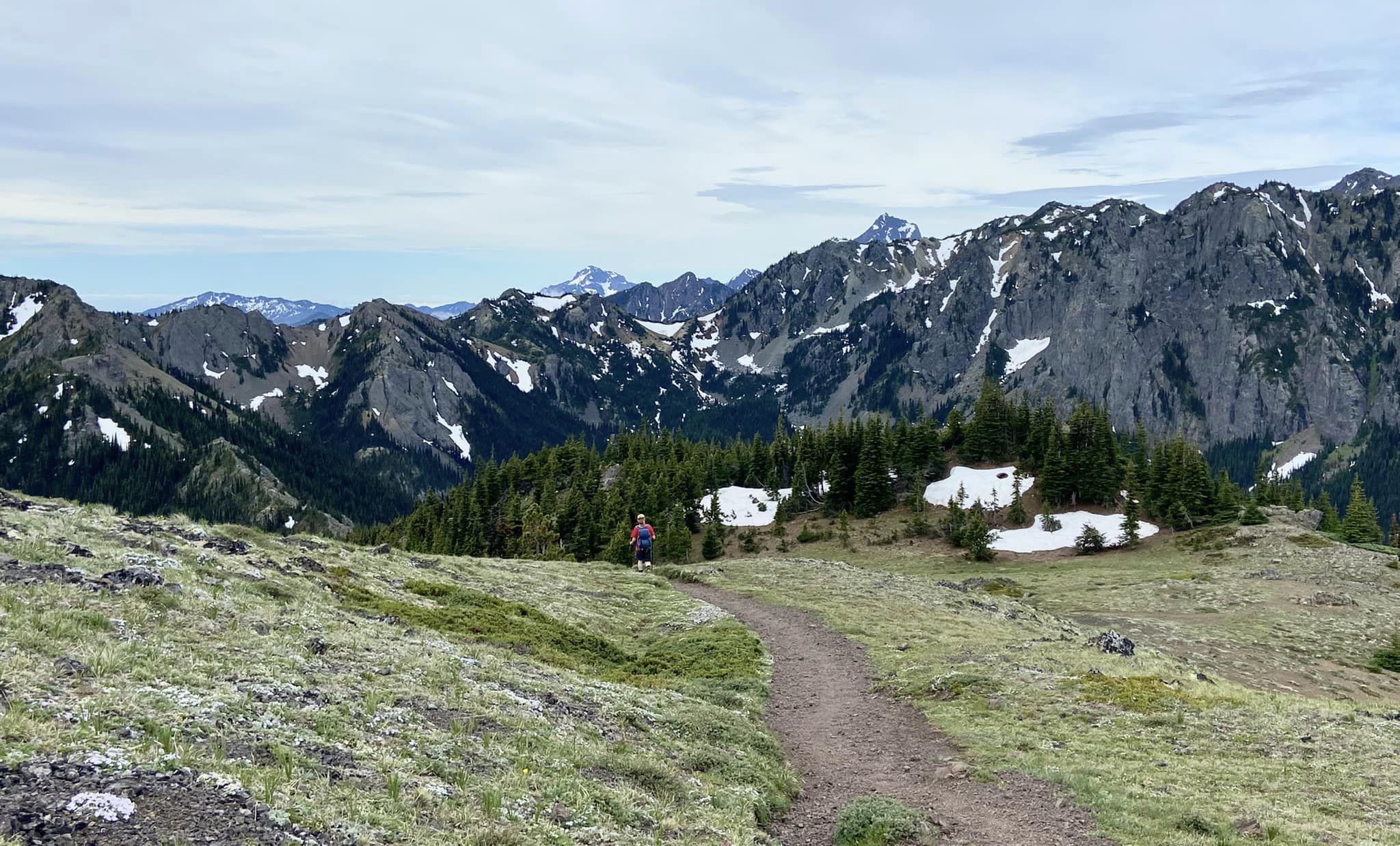 Mount Townsend — Washington Trails Association