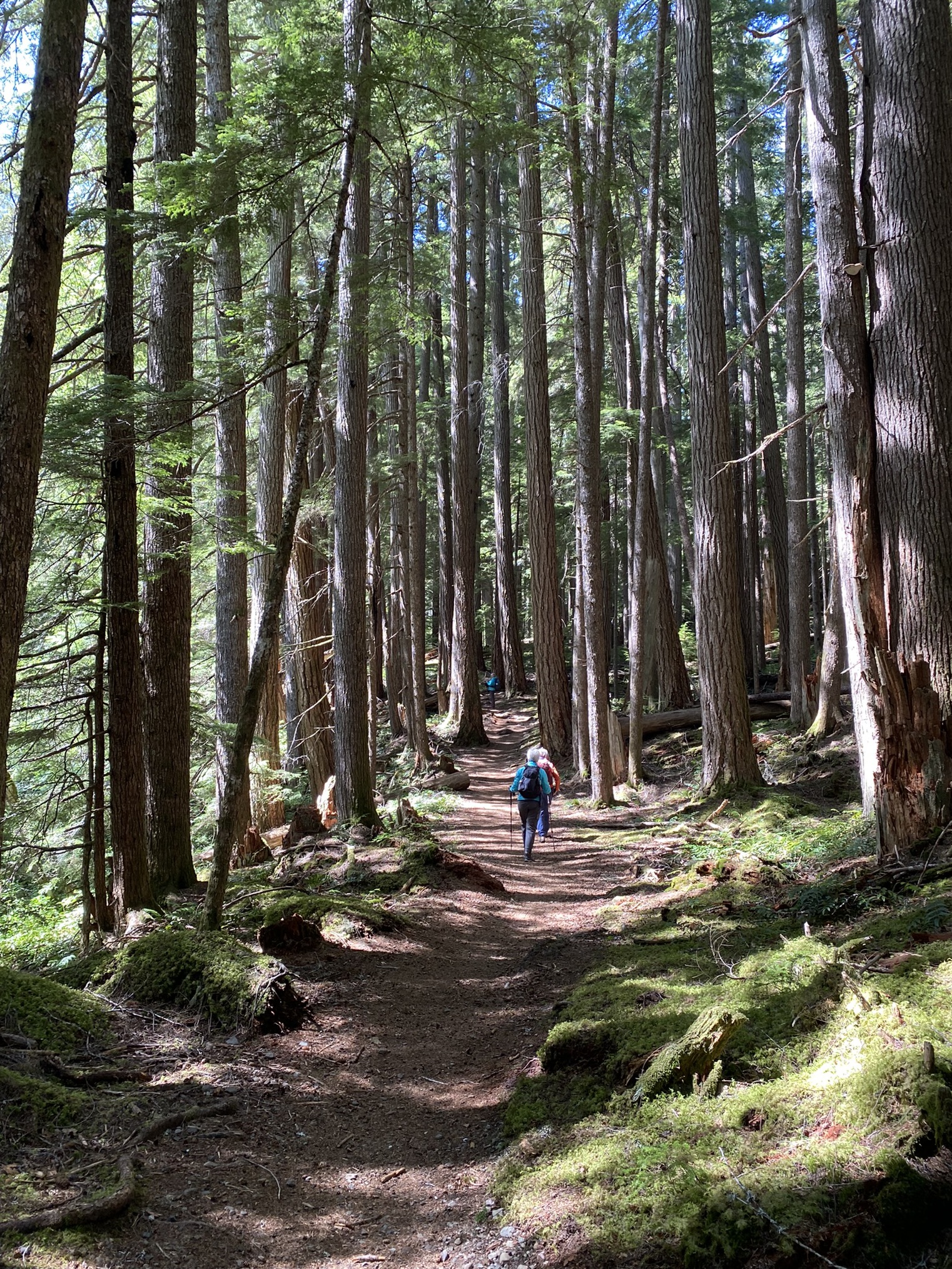 Upper Dungeness River — Washington Trails Association