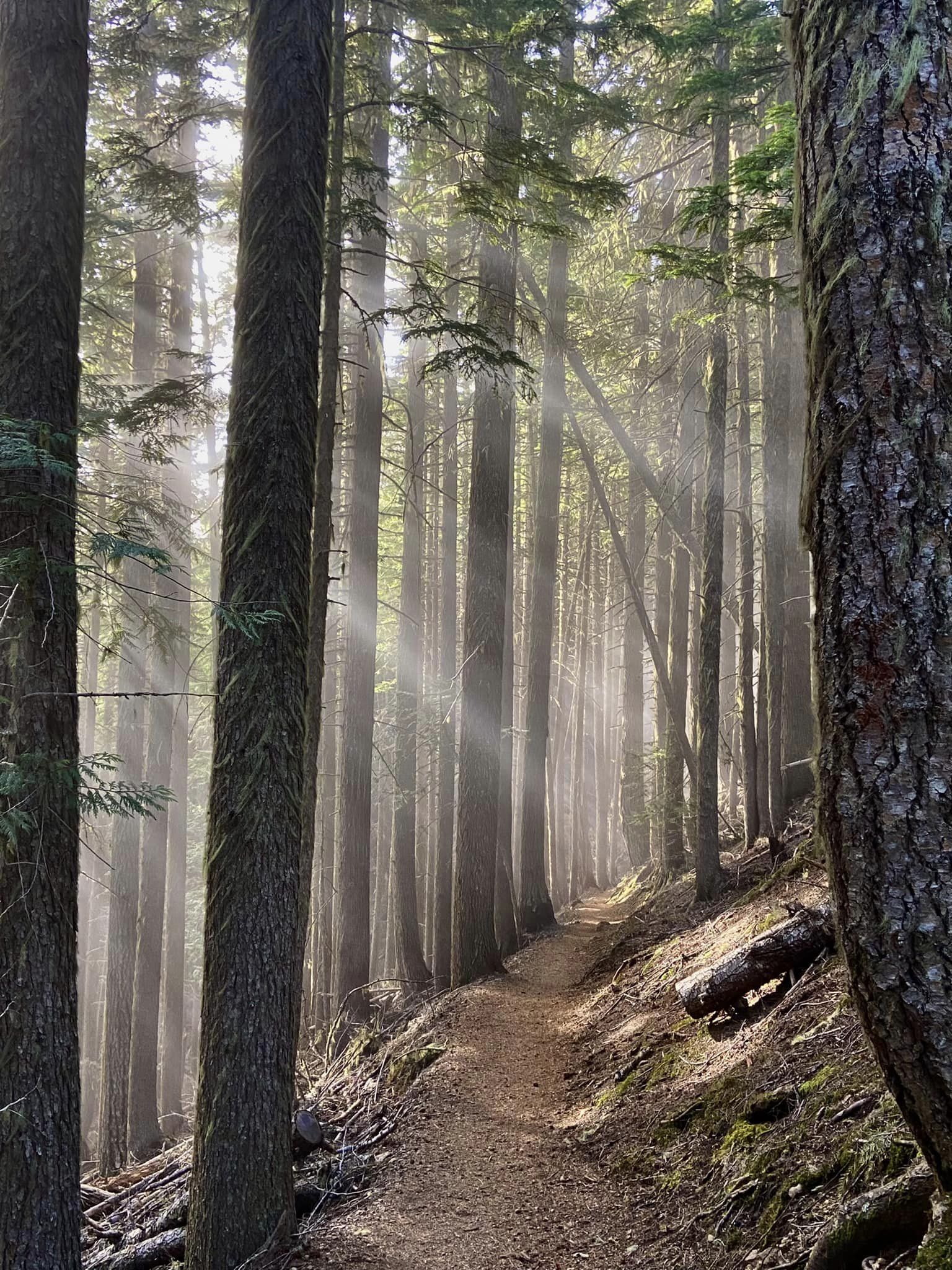 Lake Angeles, Klahhane Ridge, Heather Park — Washington Trails Association