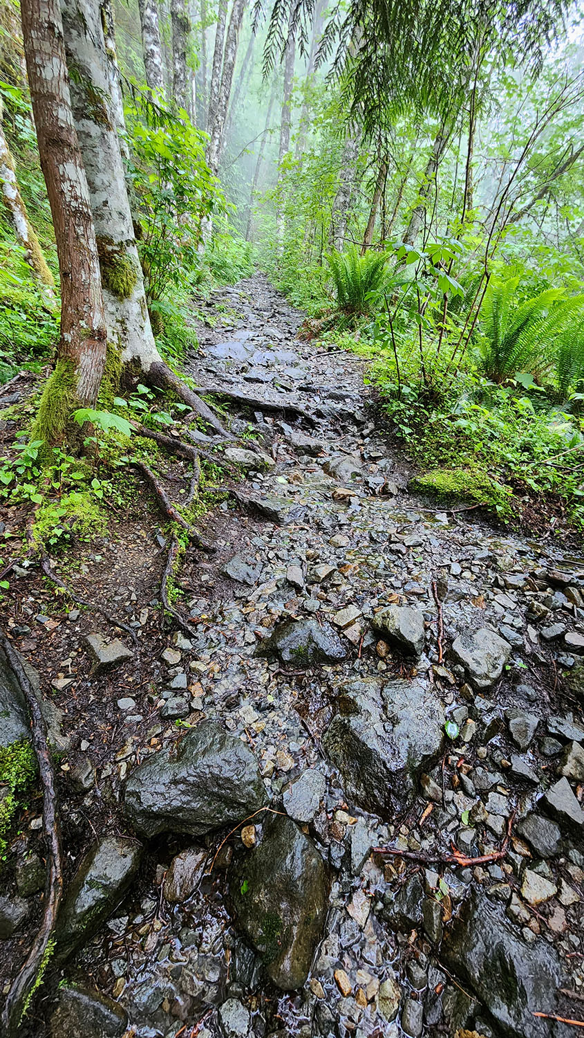 Mount Washington — Washington Trails Association