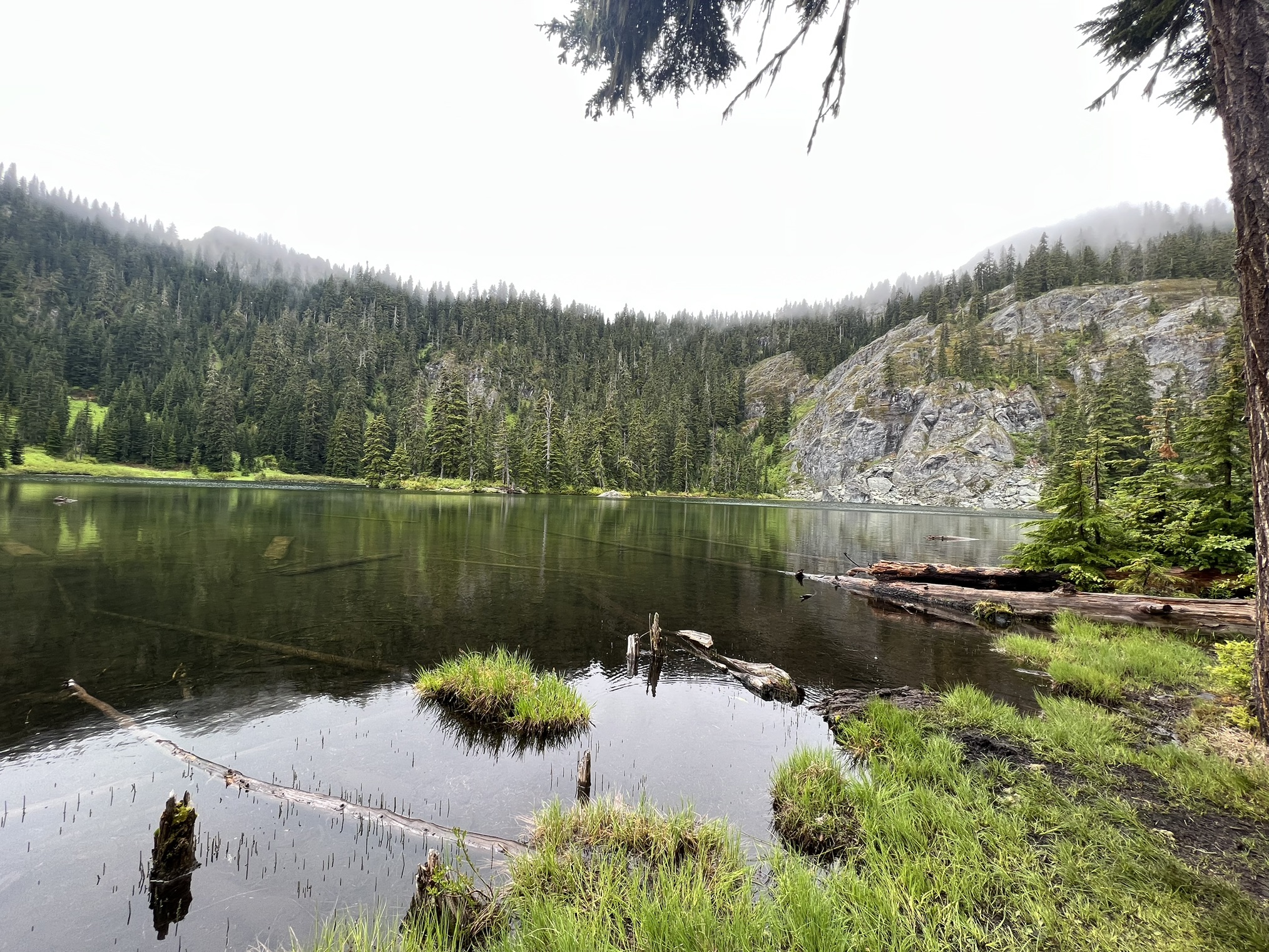 Thorp Mountain Lookout via Thorp Creek — Washington Trails Association