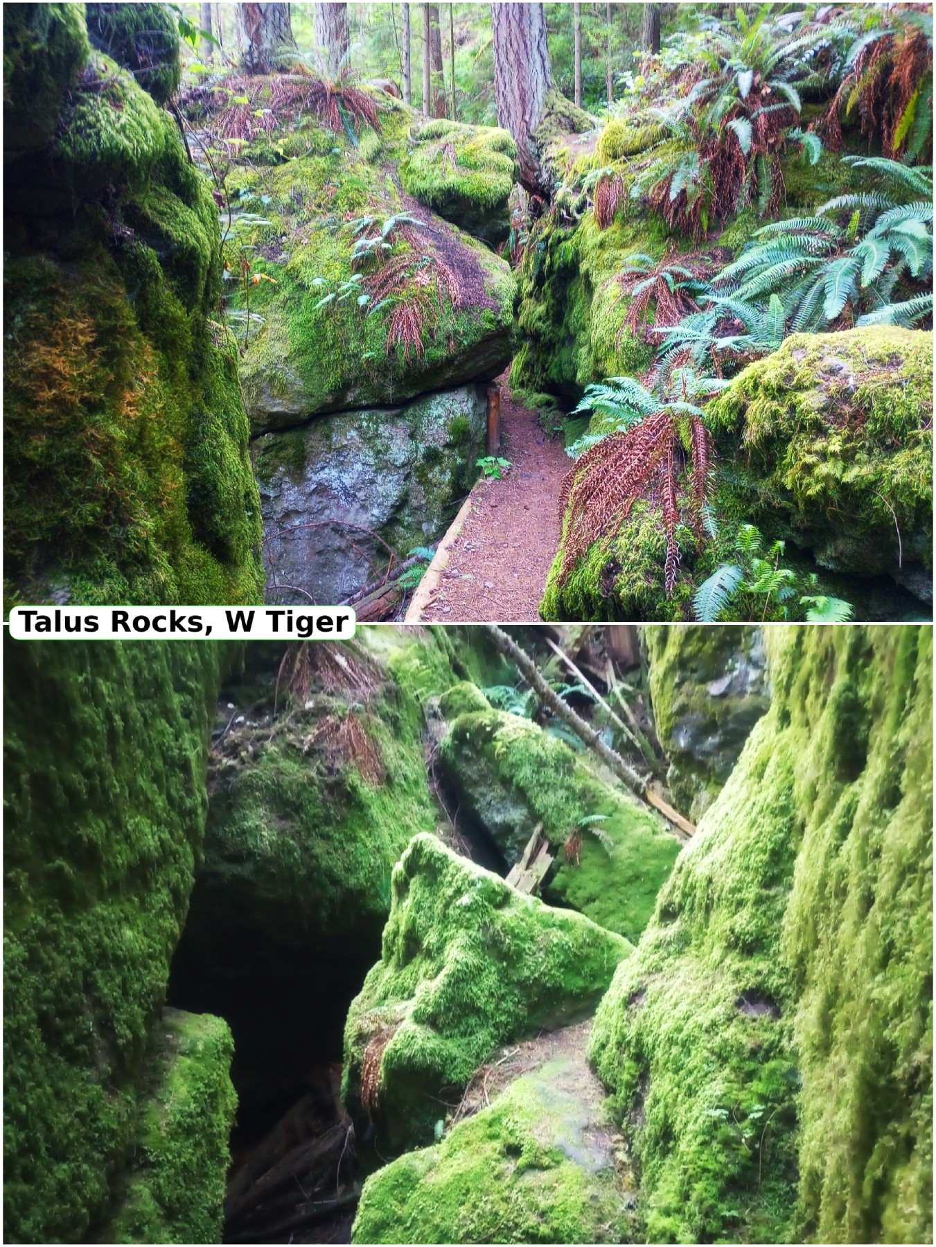 Talus Rock Trail — Washington Trails Association