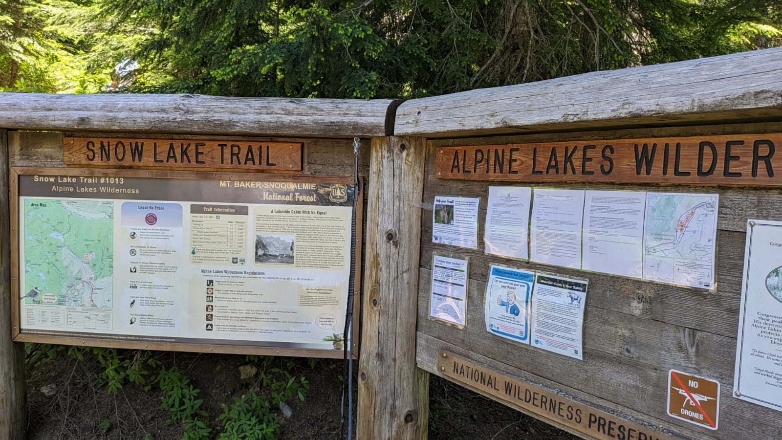 Snow Lake — Washington Trails Association