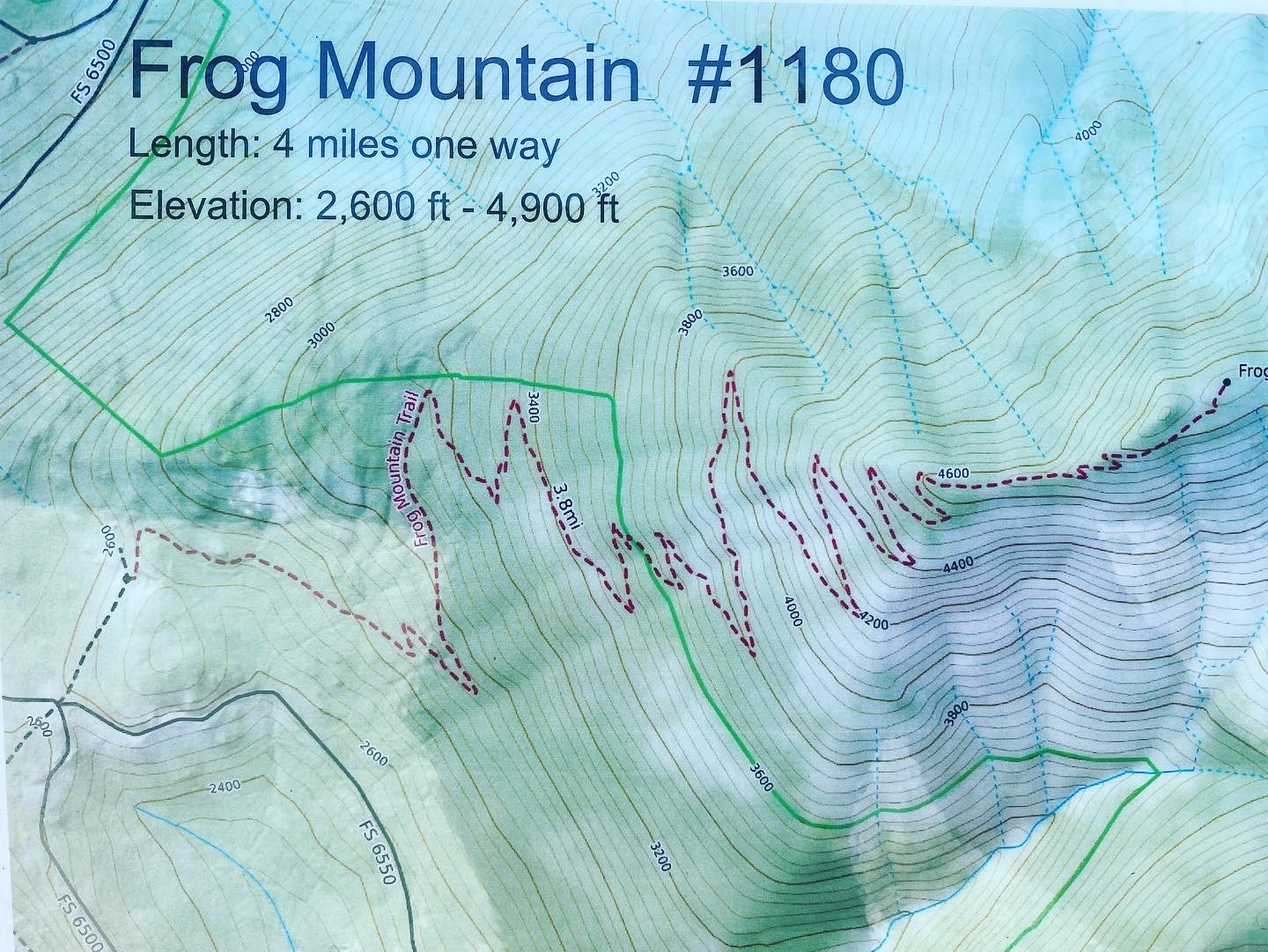 Frog Mountain — Washington Trails Association
