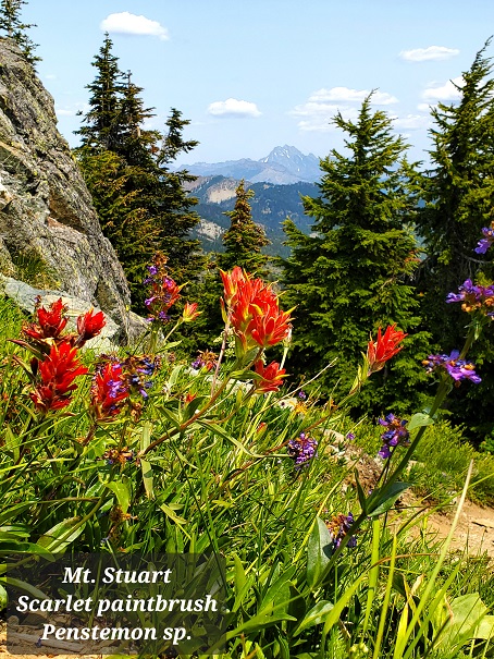 Thorp Mountain Lookout via Thorp Creek, No Name Ridge - Thorp Mountain ...