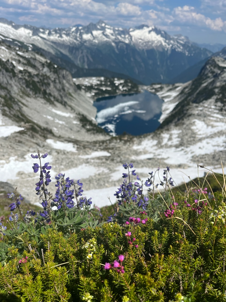 Hidden Lake Lookout — Washington Trails Association