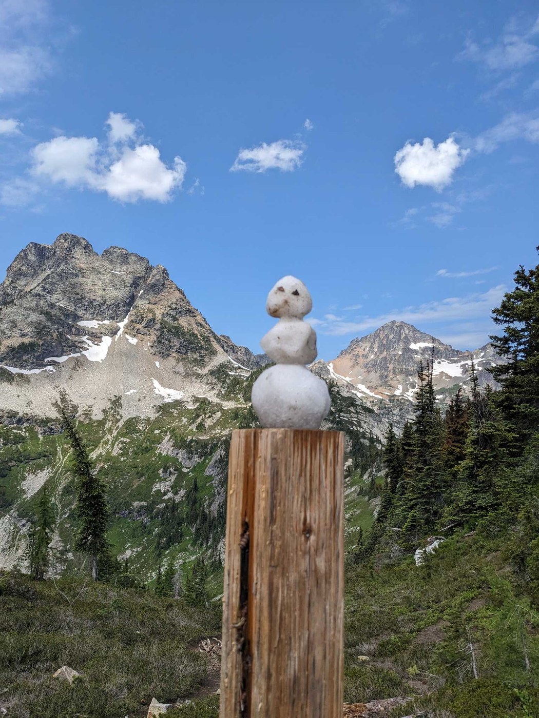 Heather - Maple Pass Loop — Washington Trails Association