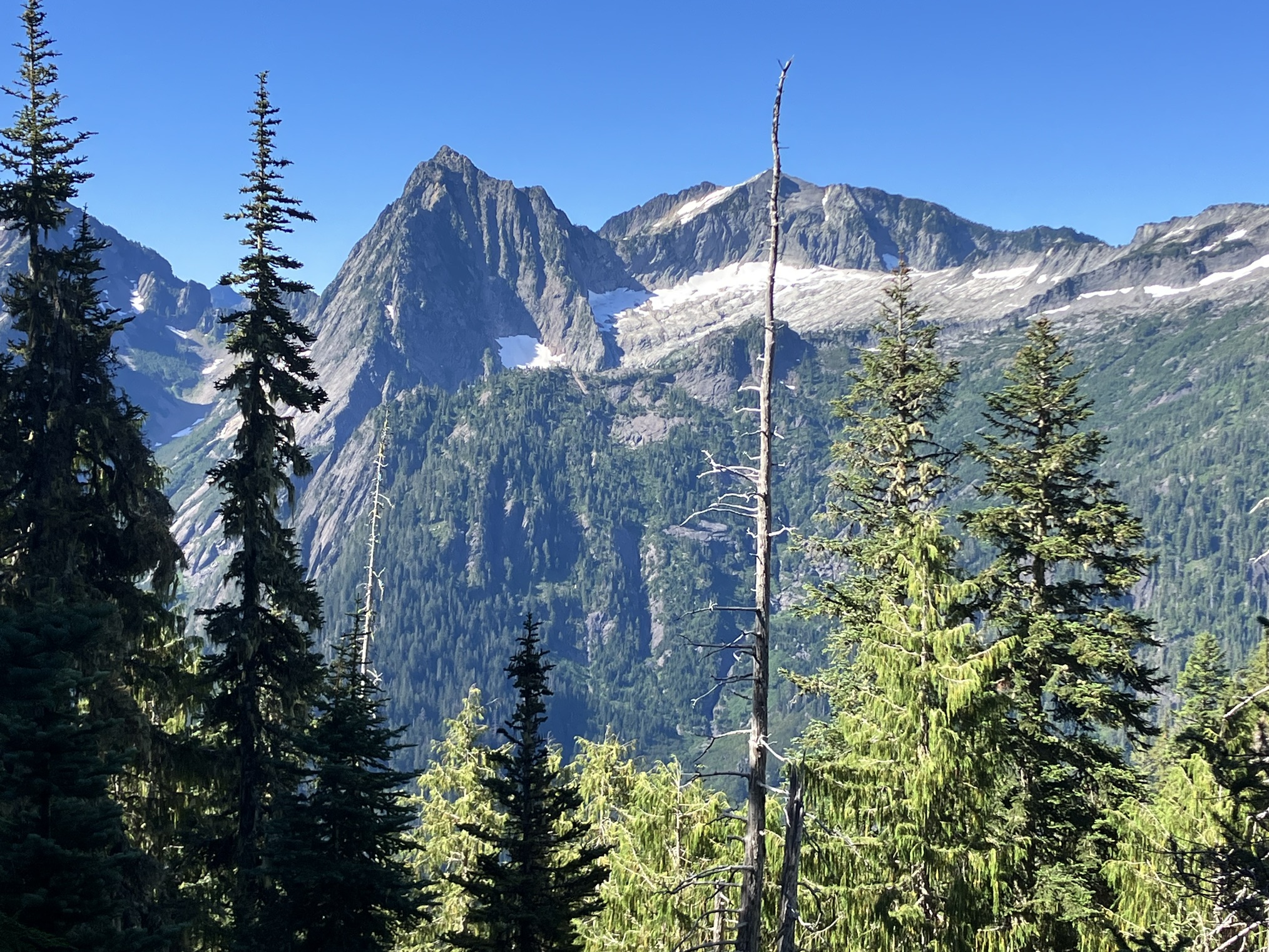 Mount Dickerman — Washington Trails Association
