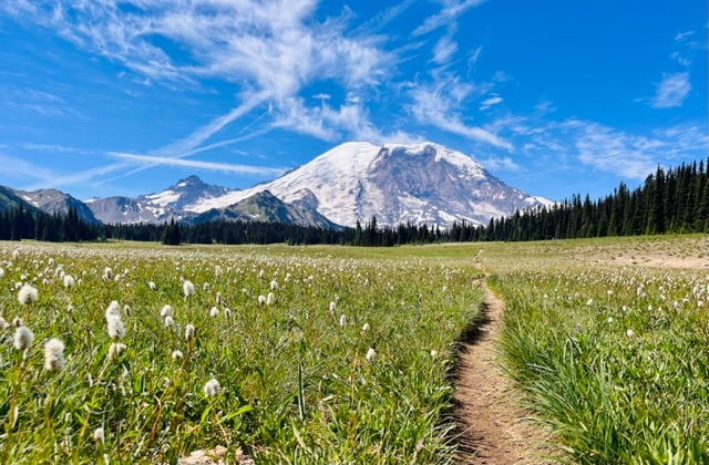 Grand Park via Lake Eleanor — Washington Trails Association