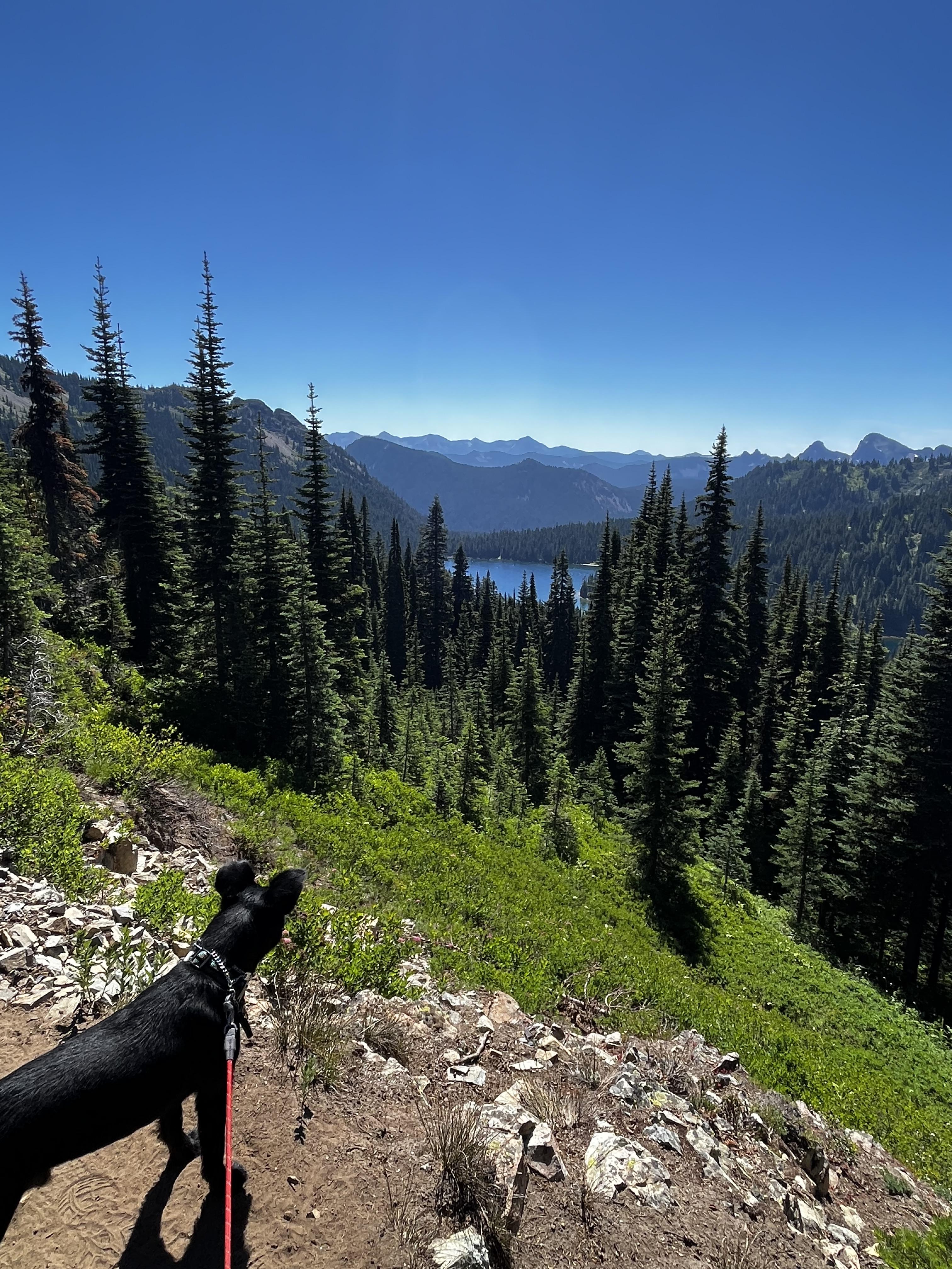 Naches Peak Loop, Dewey Lake — Washington Trails Association