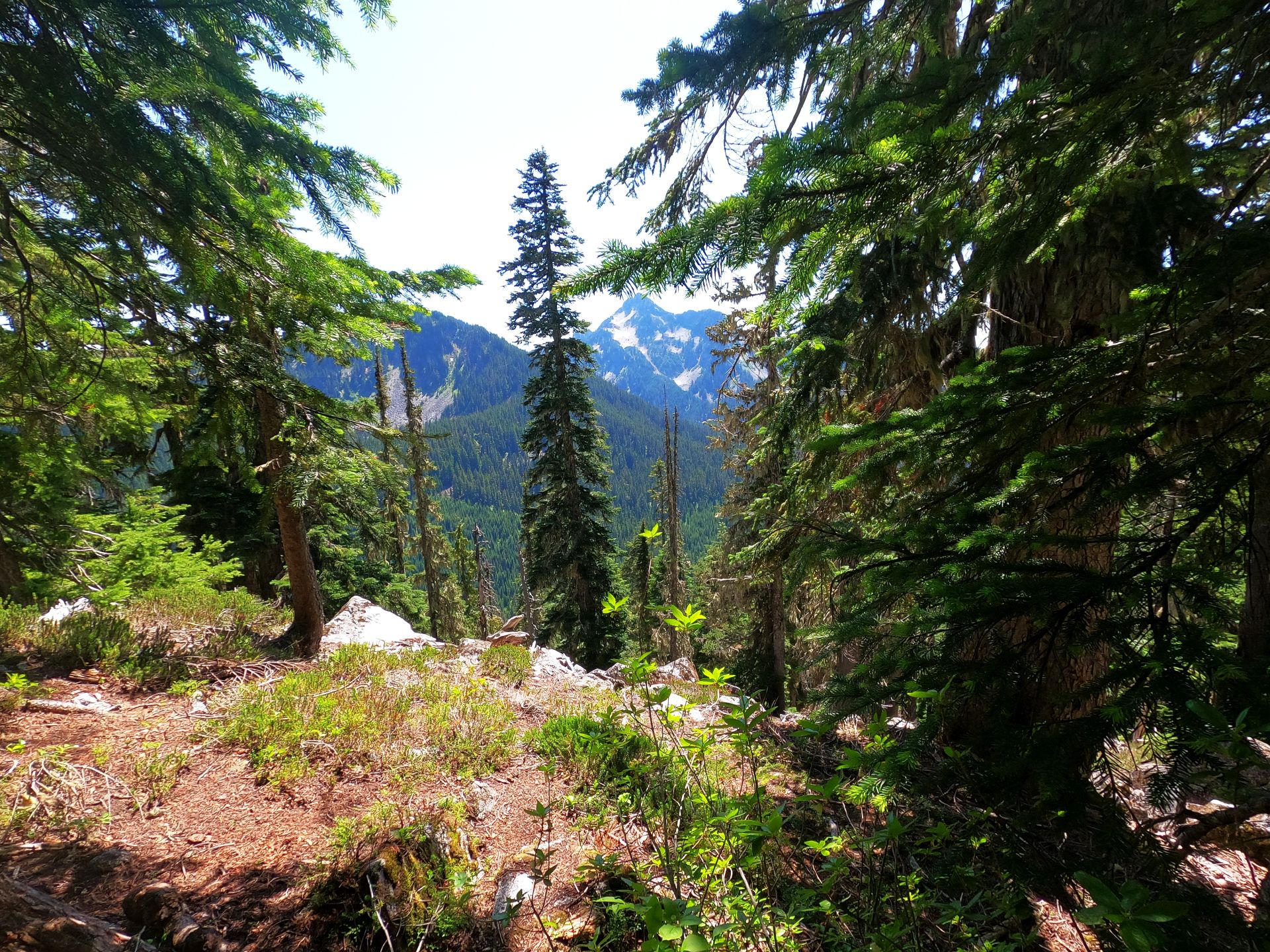 Scorpion Mountain via Johnson Ridge — Washington Trails Association