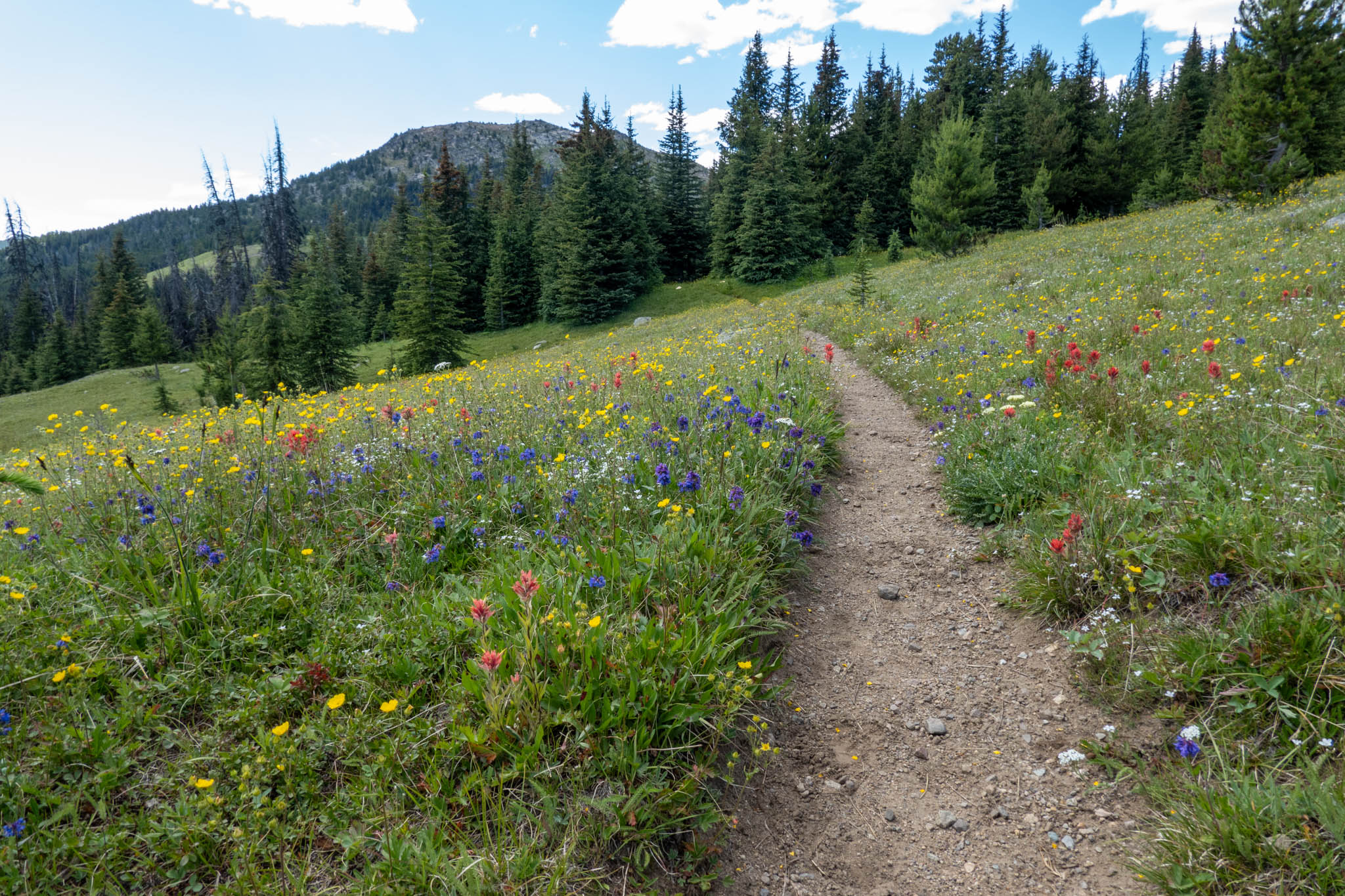 Horseshoe Basin — Washington Trails Association