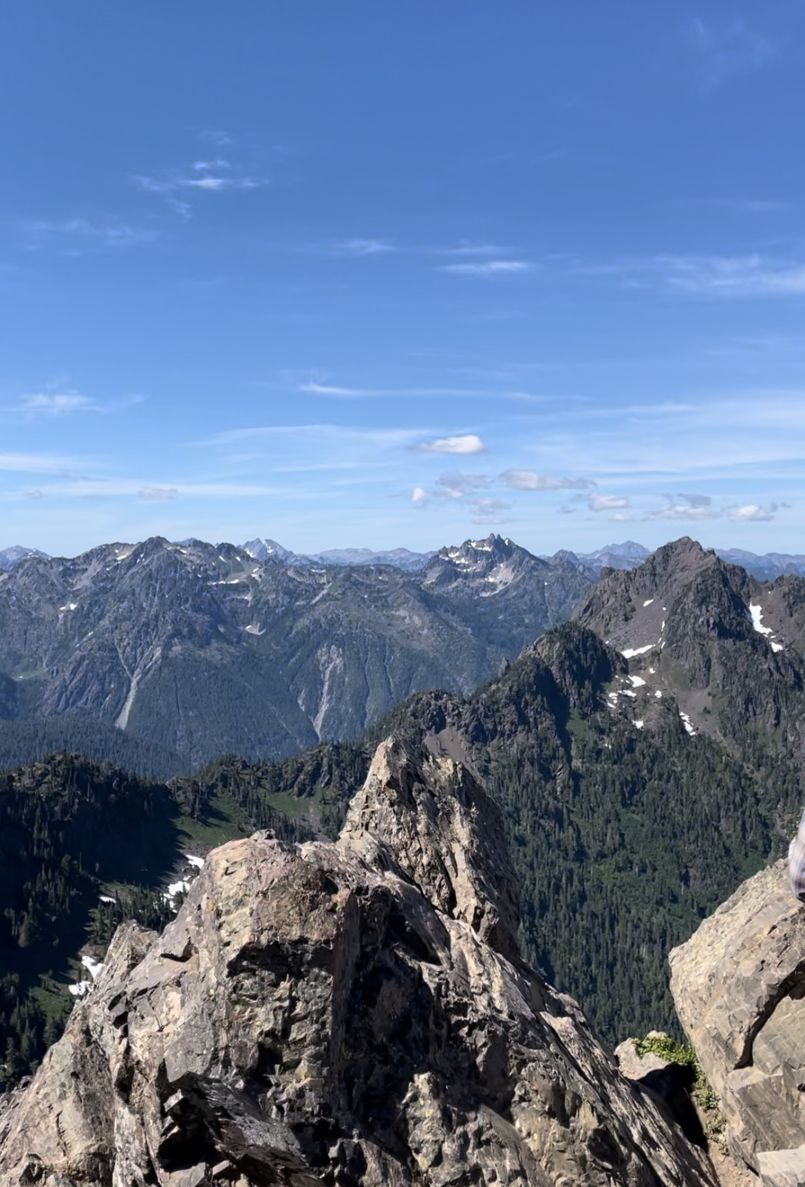 Mount Ellinor — Washington Trails Association