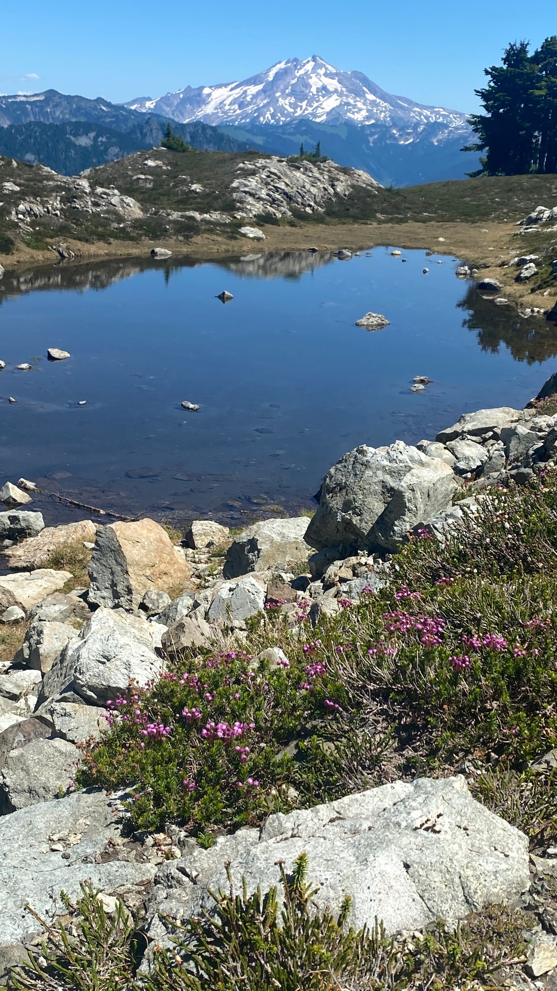 Mount Forgotten — Washington Trails Association