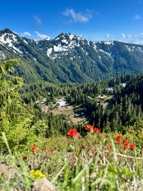 High Divide - Seven Lakes Basin Loop — Washington Trails Association