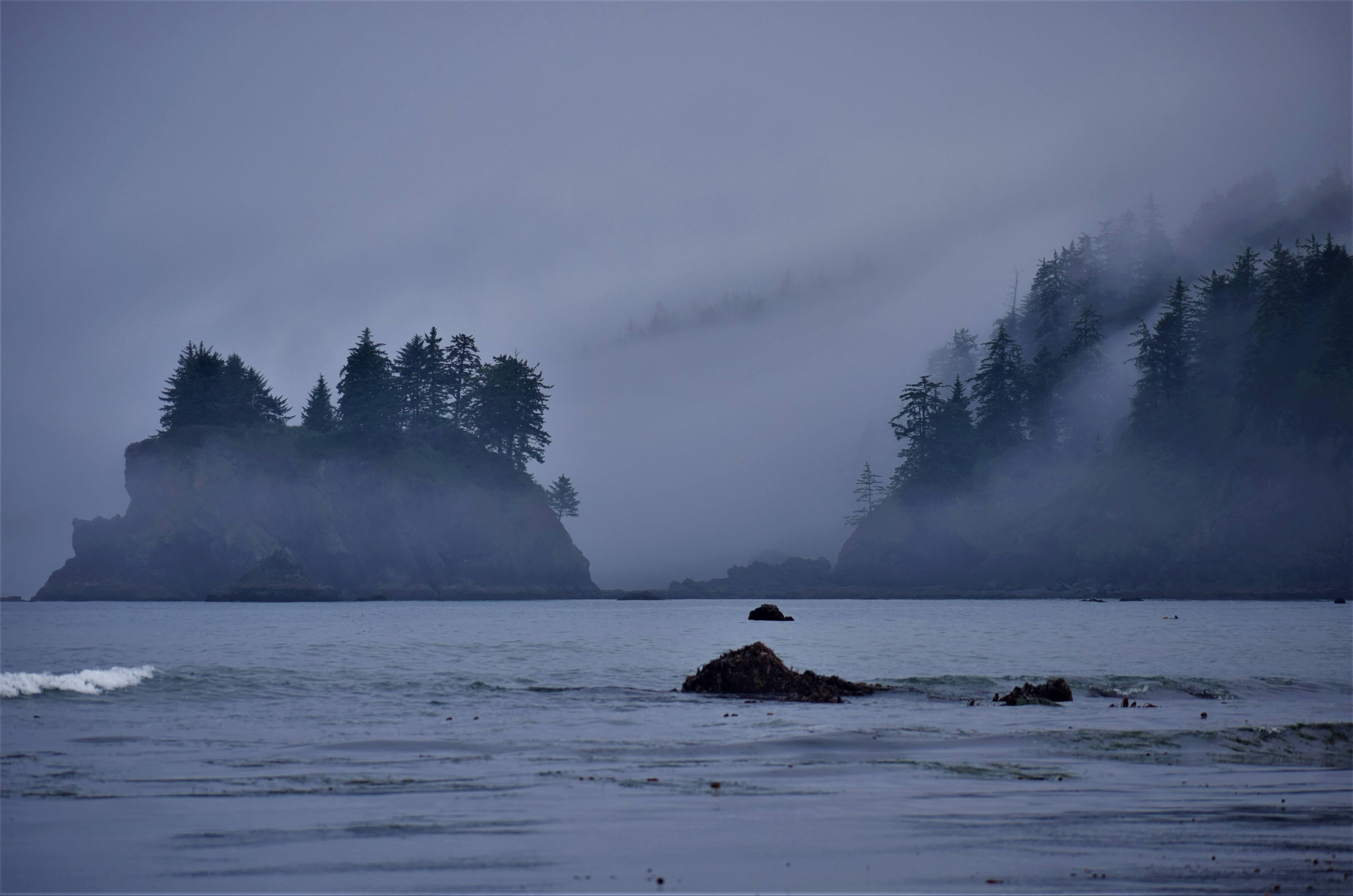 Cape Alava, Shi Shi Beach and Point of the Arches — Washington Trails ...