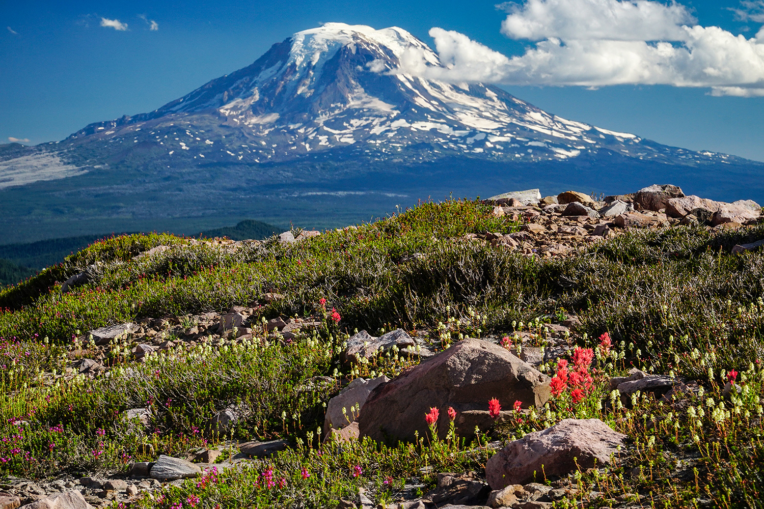 Snowgrass Flat, Goat Lake, Goat Ridge — Washington Trails Association