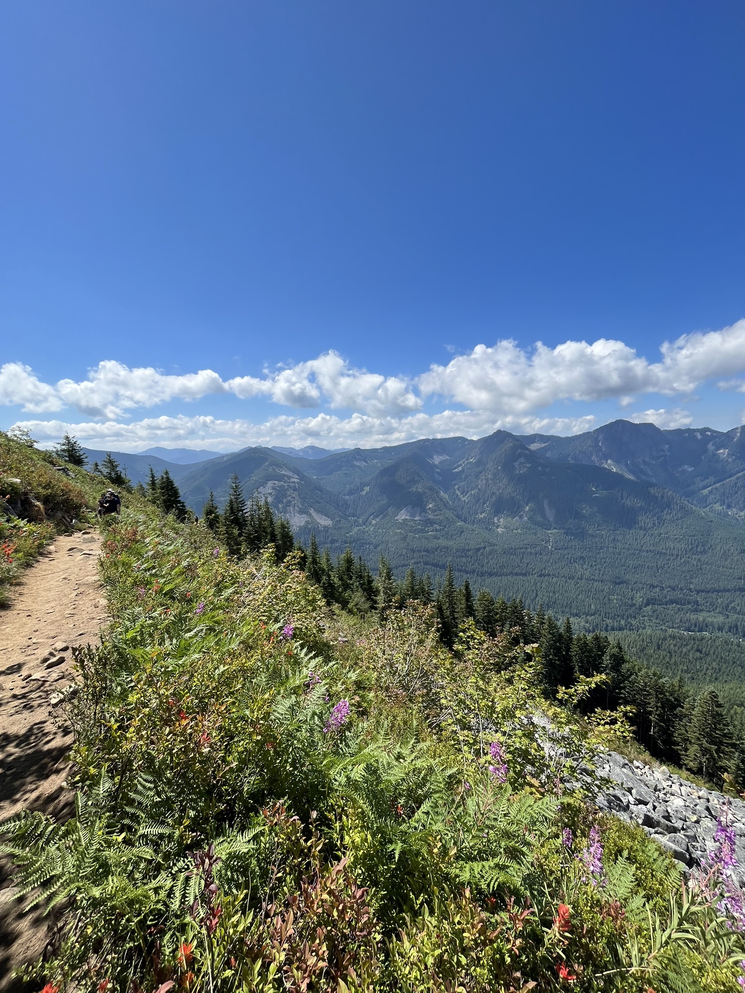 Ira Spring Trail - Mason Lake — Washington Trails Association