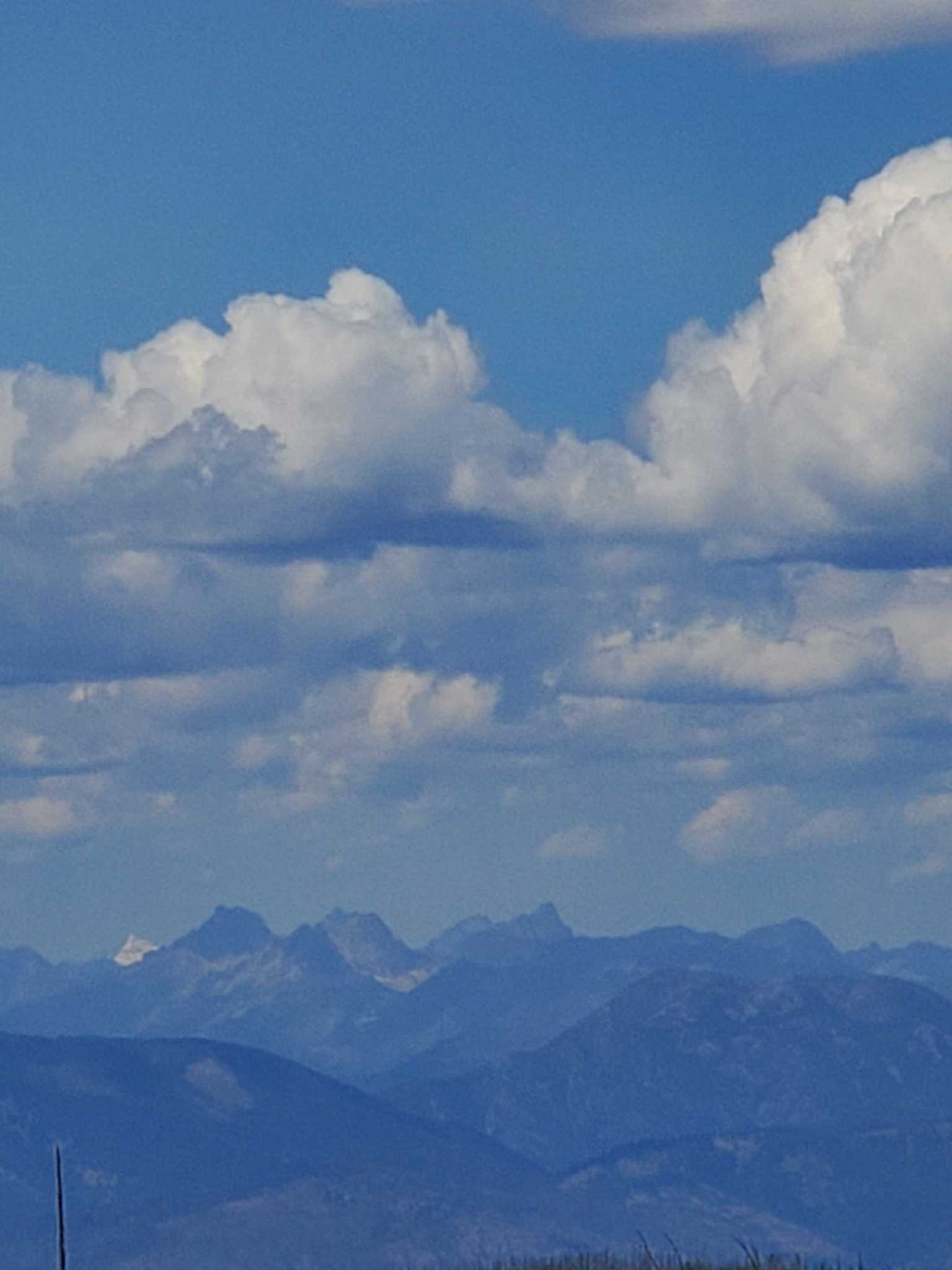 Tiffany Mountain via Freezeout Ridge — Washington Trails Association