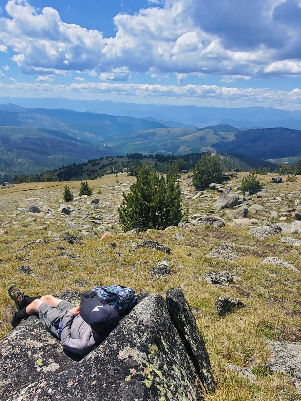 Tiffany Mountain via Freezeout Ridge — Washington Trails Association