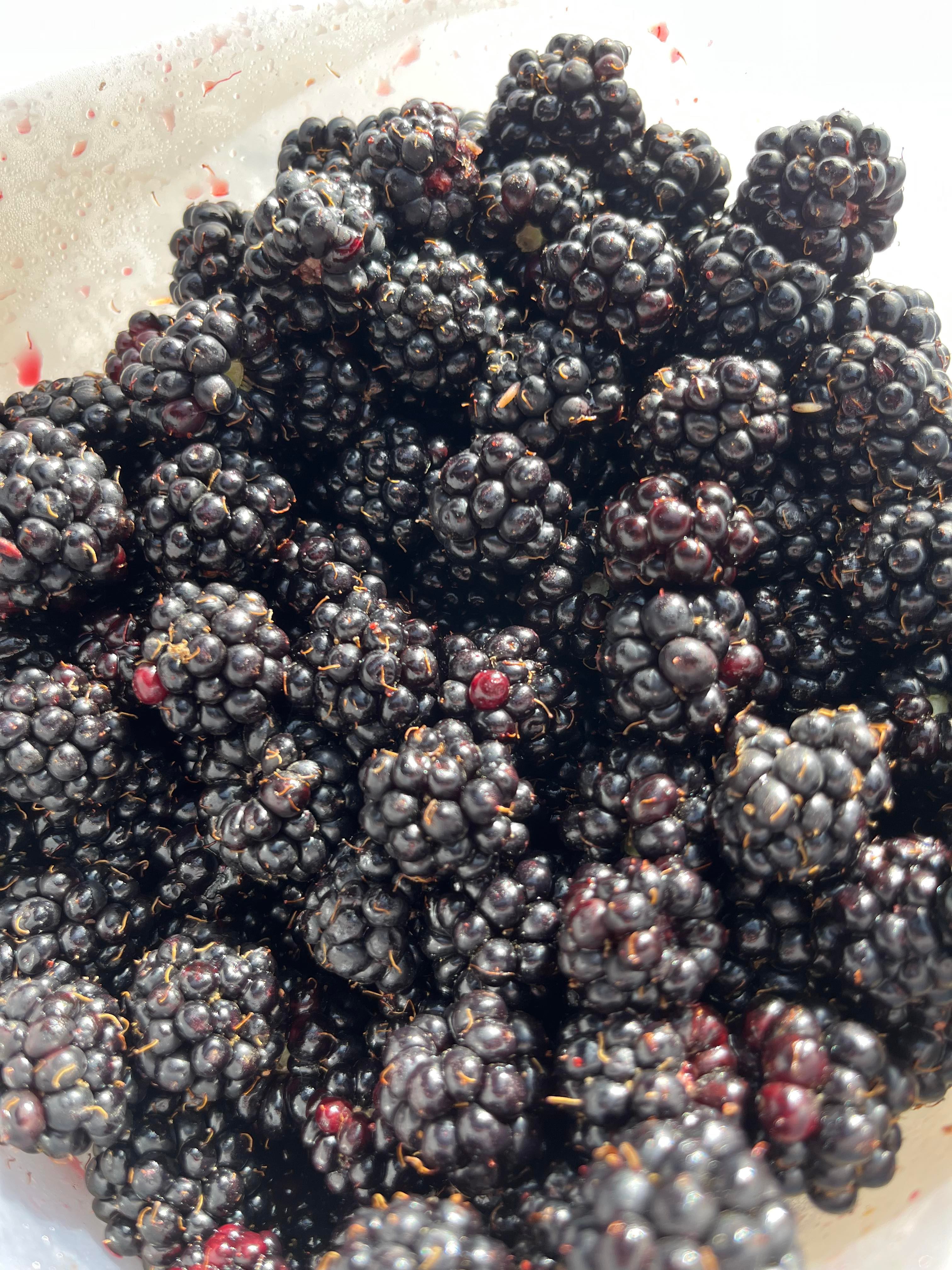 Lake Ballinger Park, Interurban Trail — Washington Trails Association