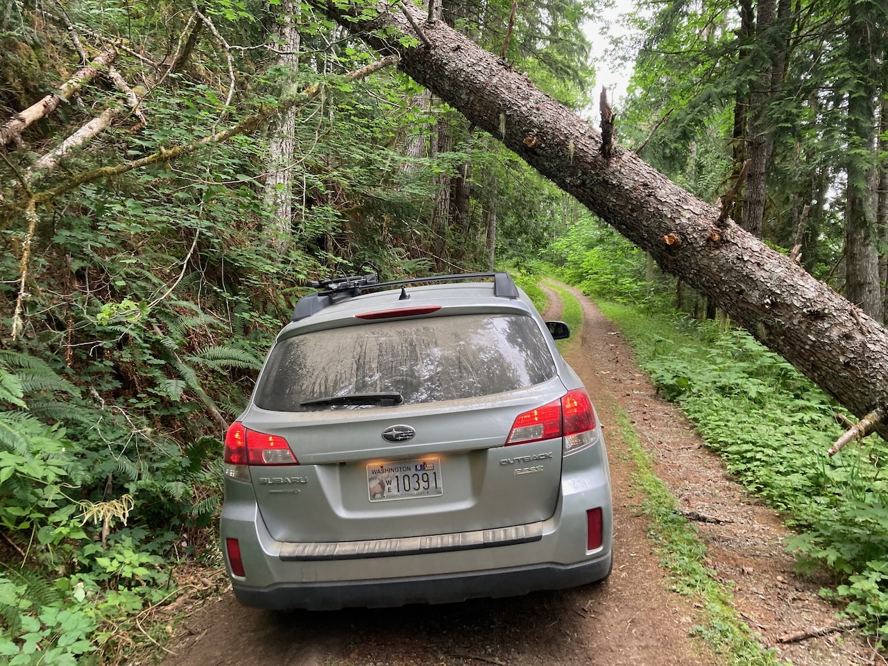 Peek-a-Boo Lake — Washington Trails Association