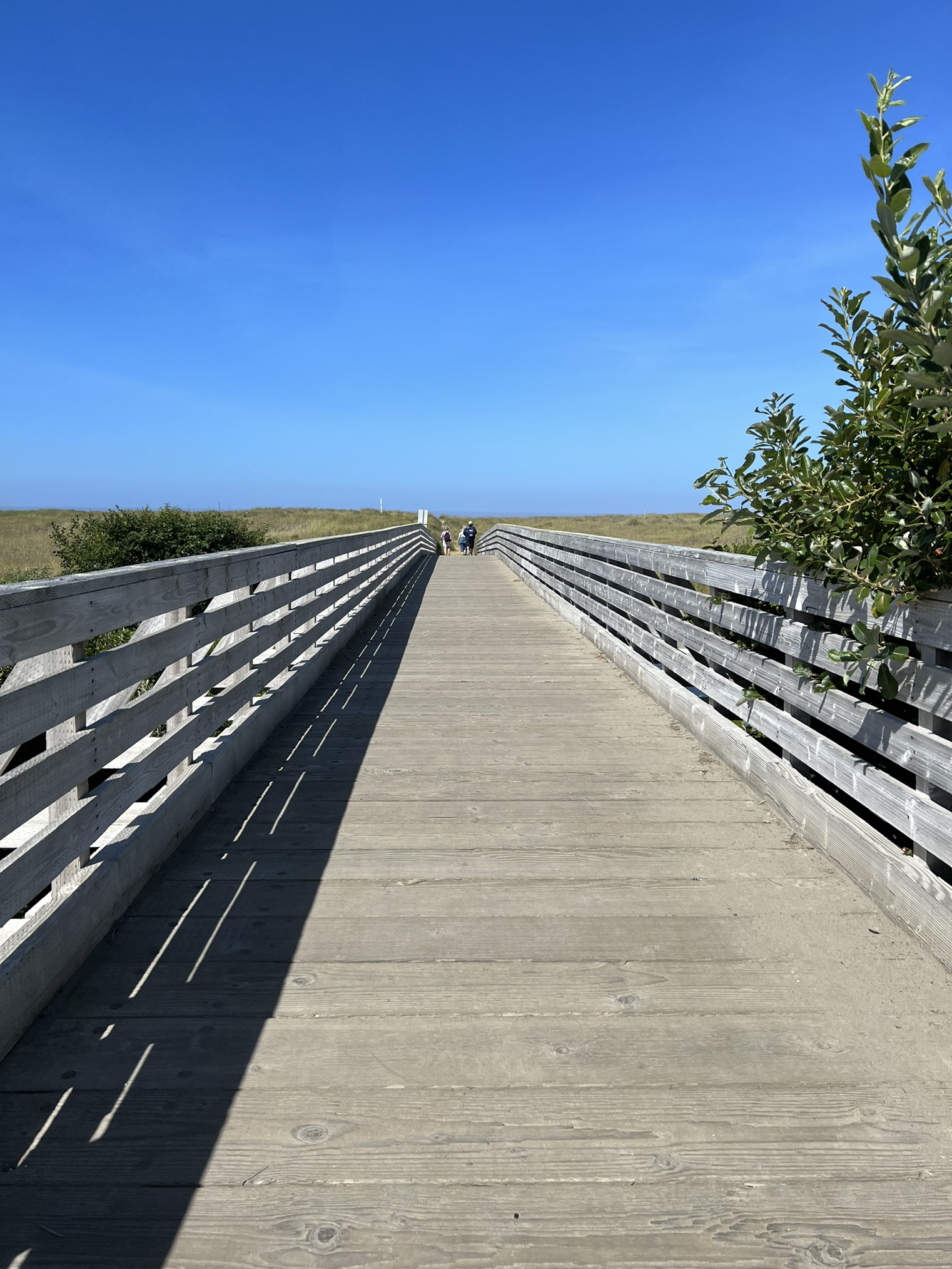 Griffiths-Priday State Park - Copalis River Spit — Washington Trails ...