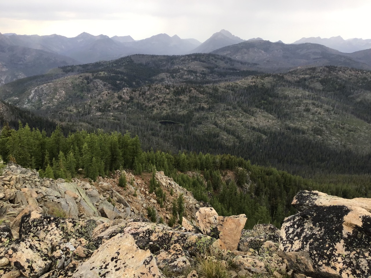 Coleman Ridge, Andrews Creek, Little Andrews Creek — Washington Trails ...