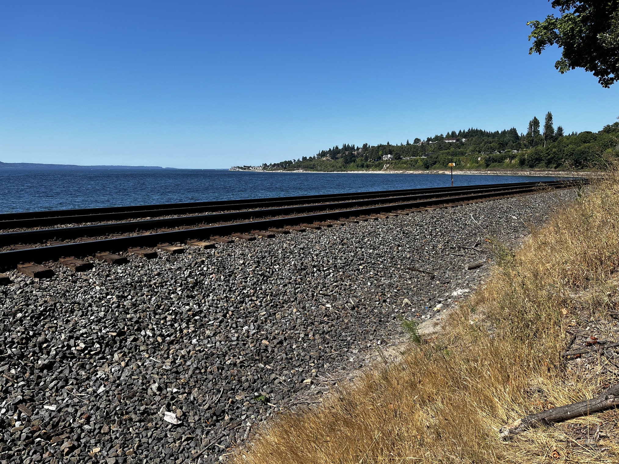 Innis Arden Reserve Park — Washington Trails Association
