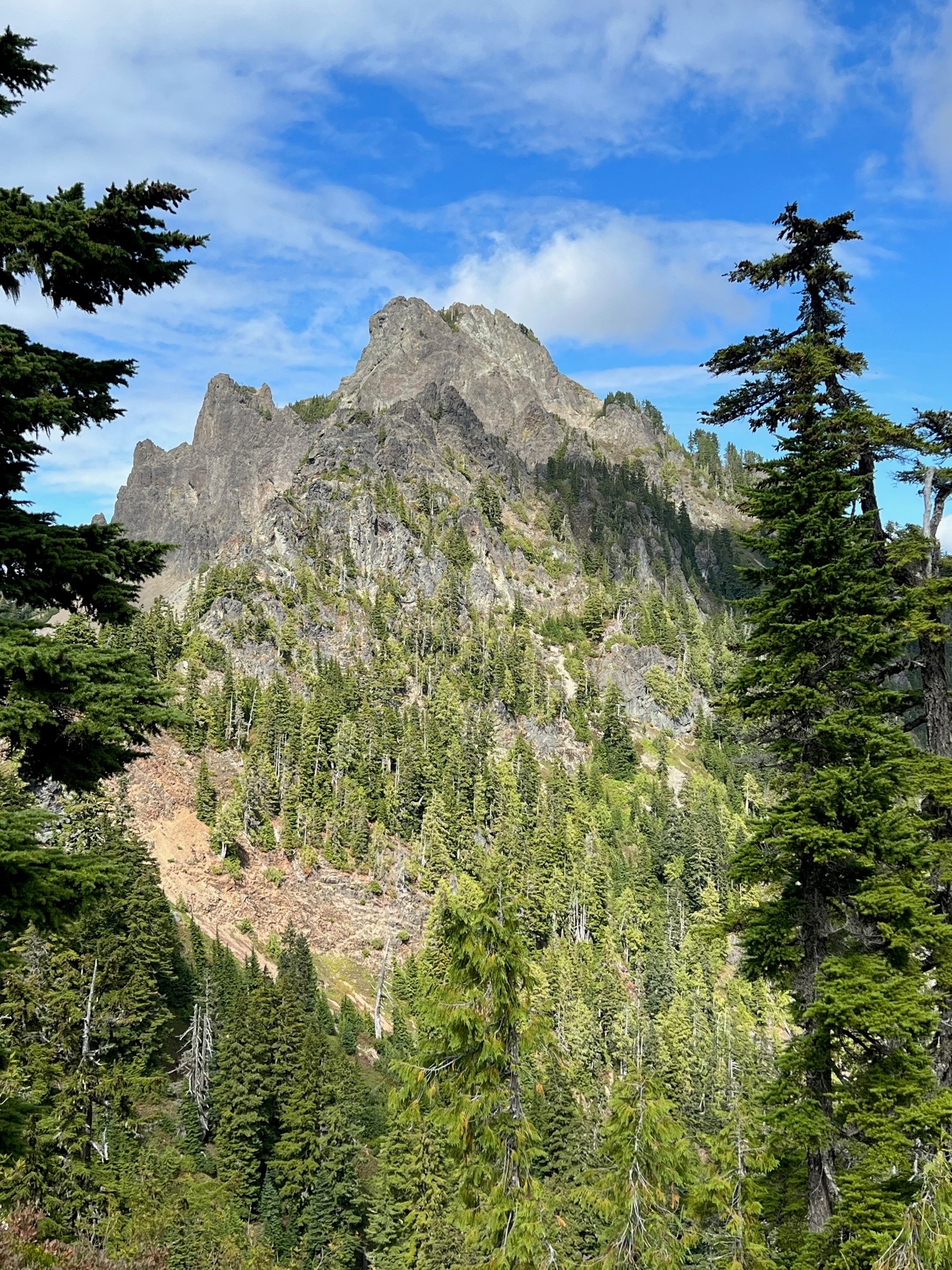 Mount Forgotten, Perry Creek — Washington Trails Association