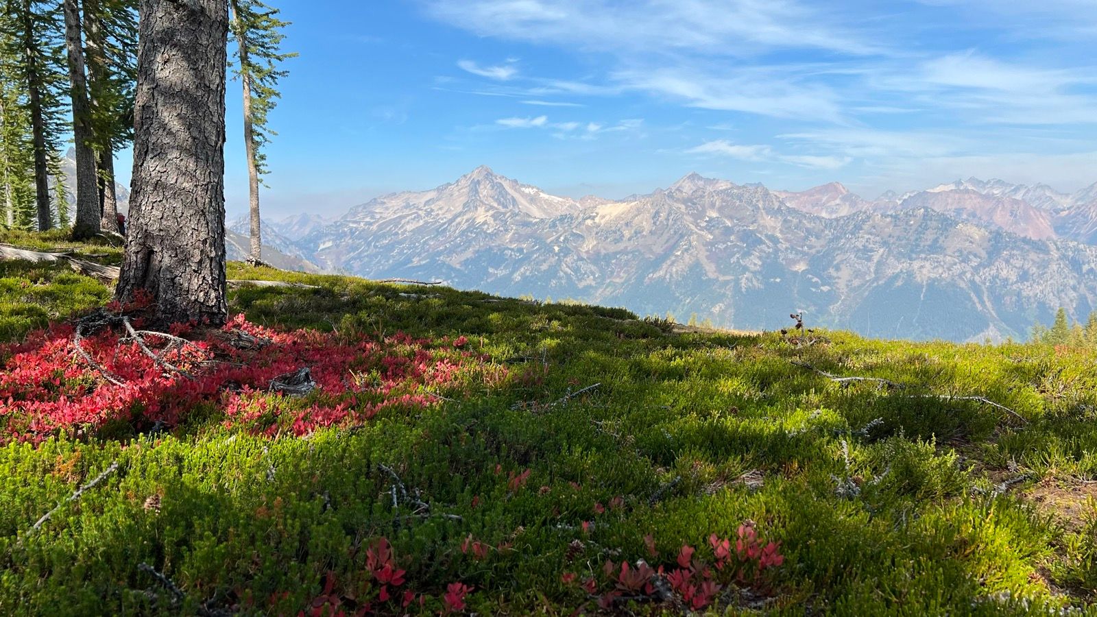 Buck Mountain, Buck Creek Pass — Washington Trails Association