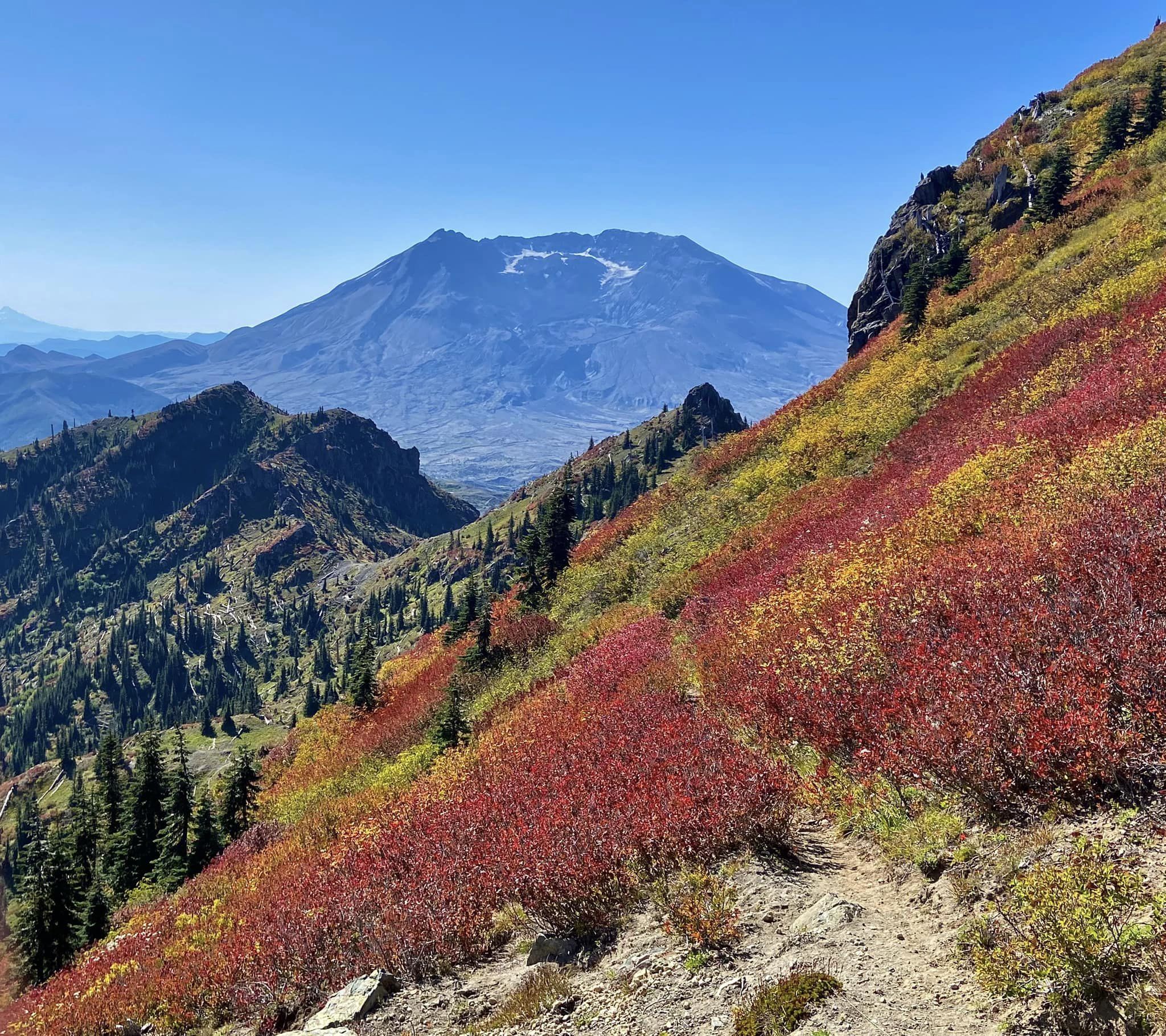 Coldwater Peak, South Coldwater Trail — Washington Trails Association
