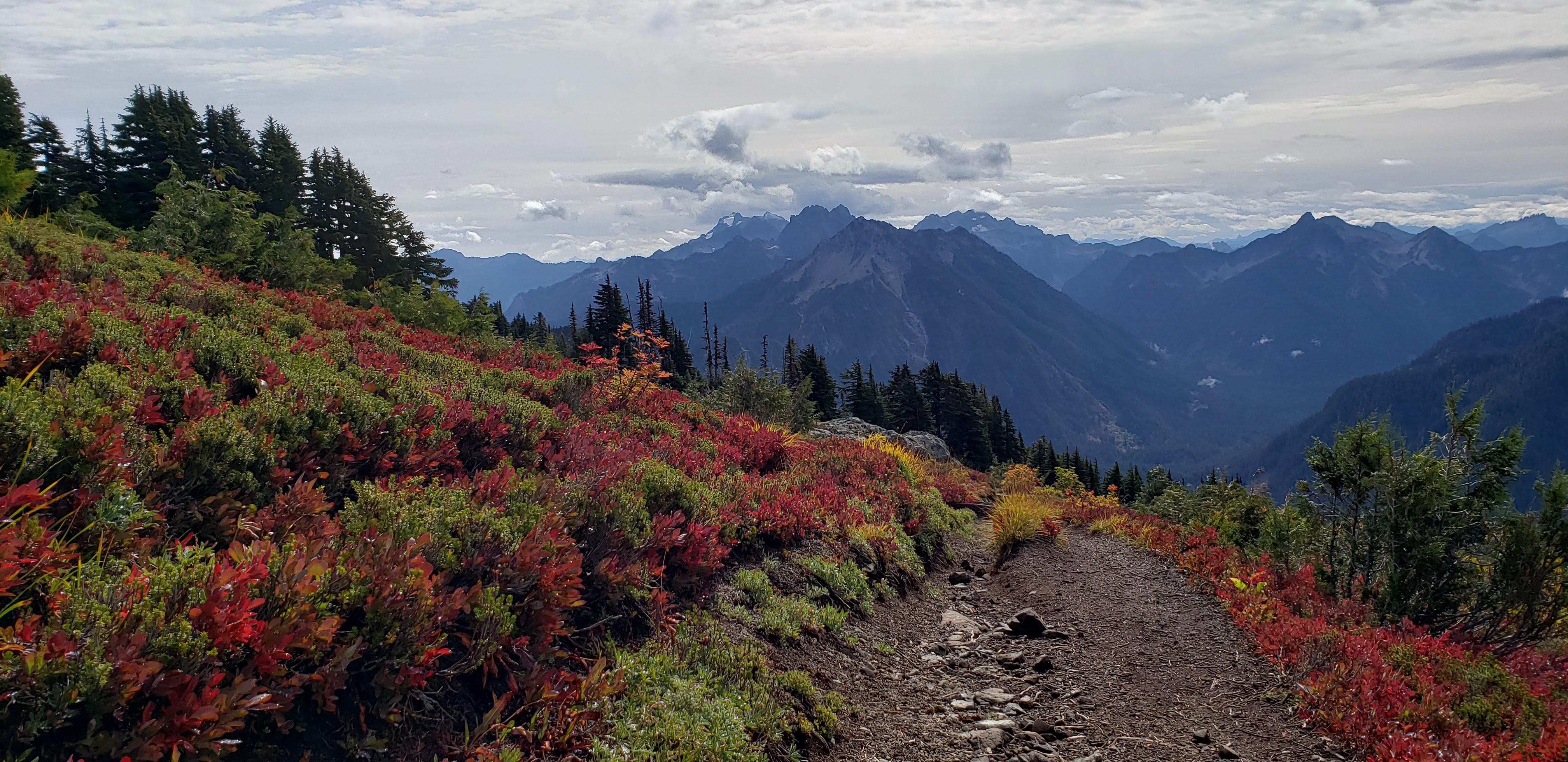 Mount Dickerman — Washington Trails Association