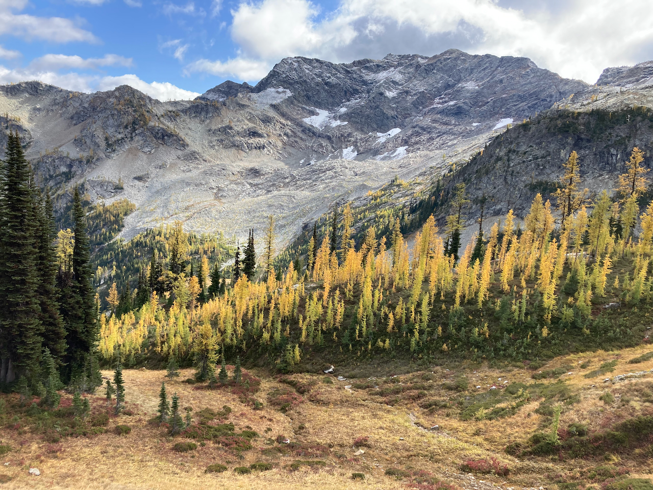 Heather - Maple Pass Loop — Washington Trails Association