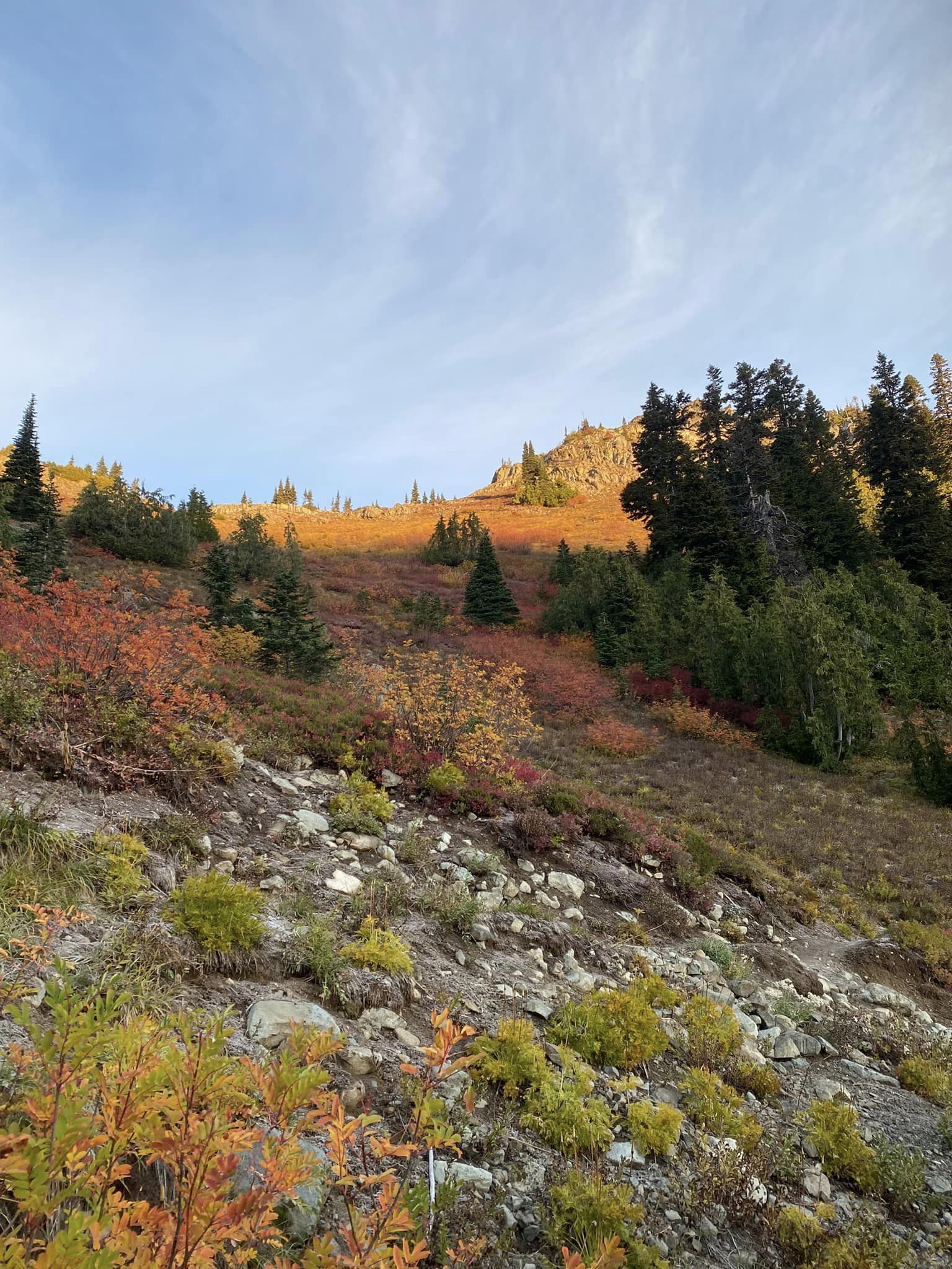 Sheep Lake — Washington Trails Association