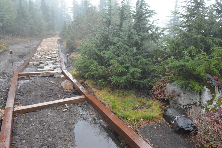 Mount Pilchuck — Washington Trails Association