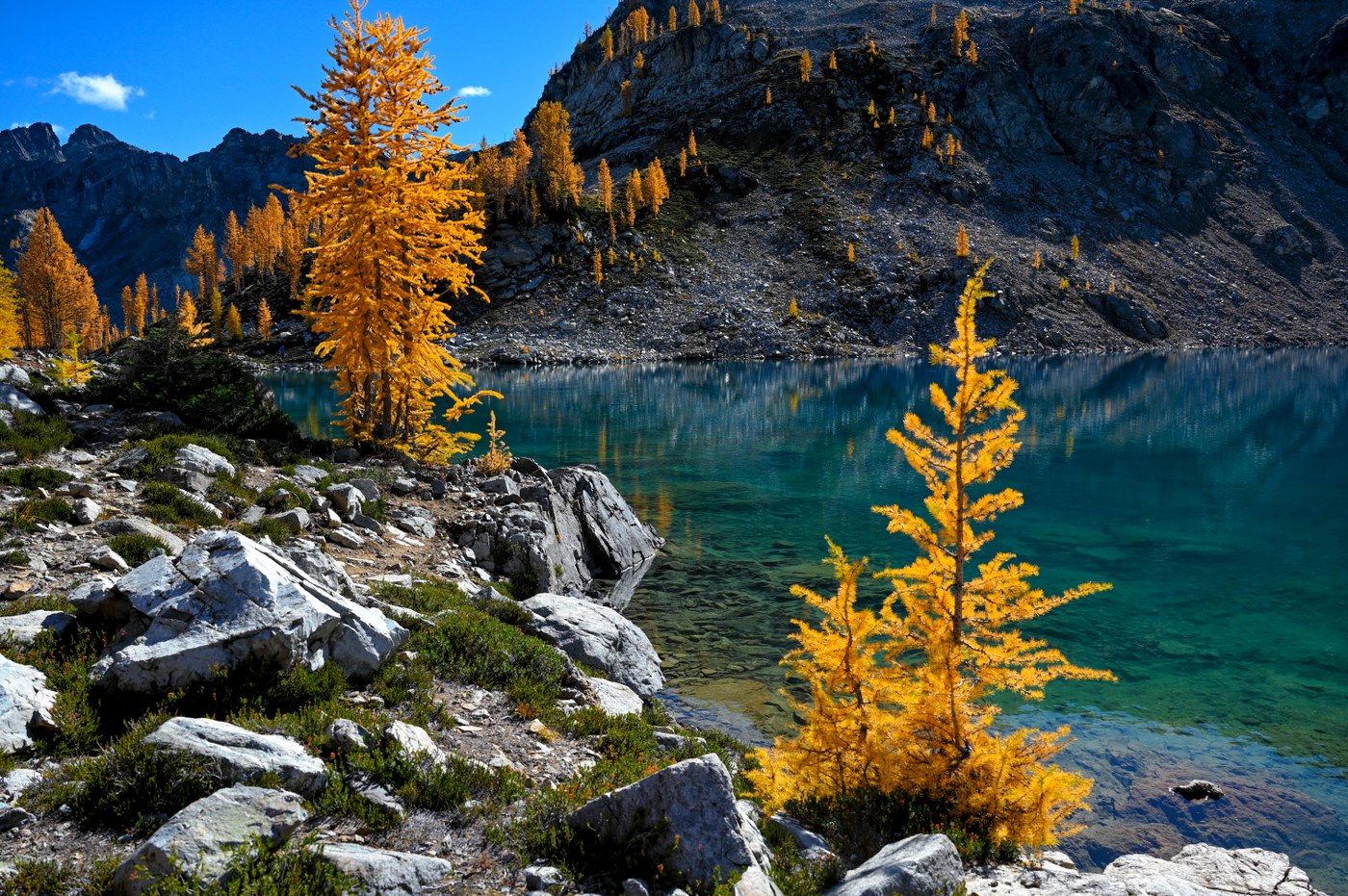 Wing Lake, Lewis Lake, Heather - Maple Pass Loop — Washington Trails ...