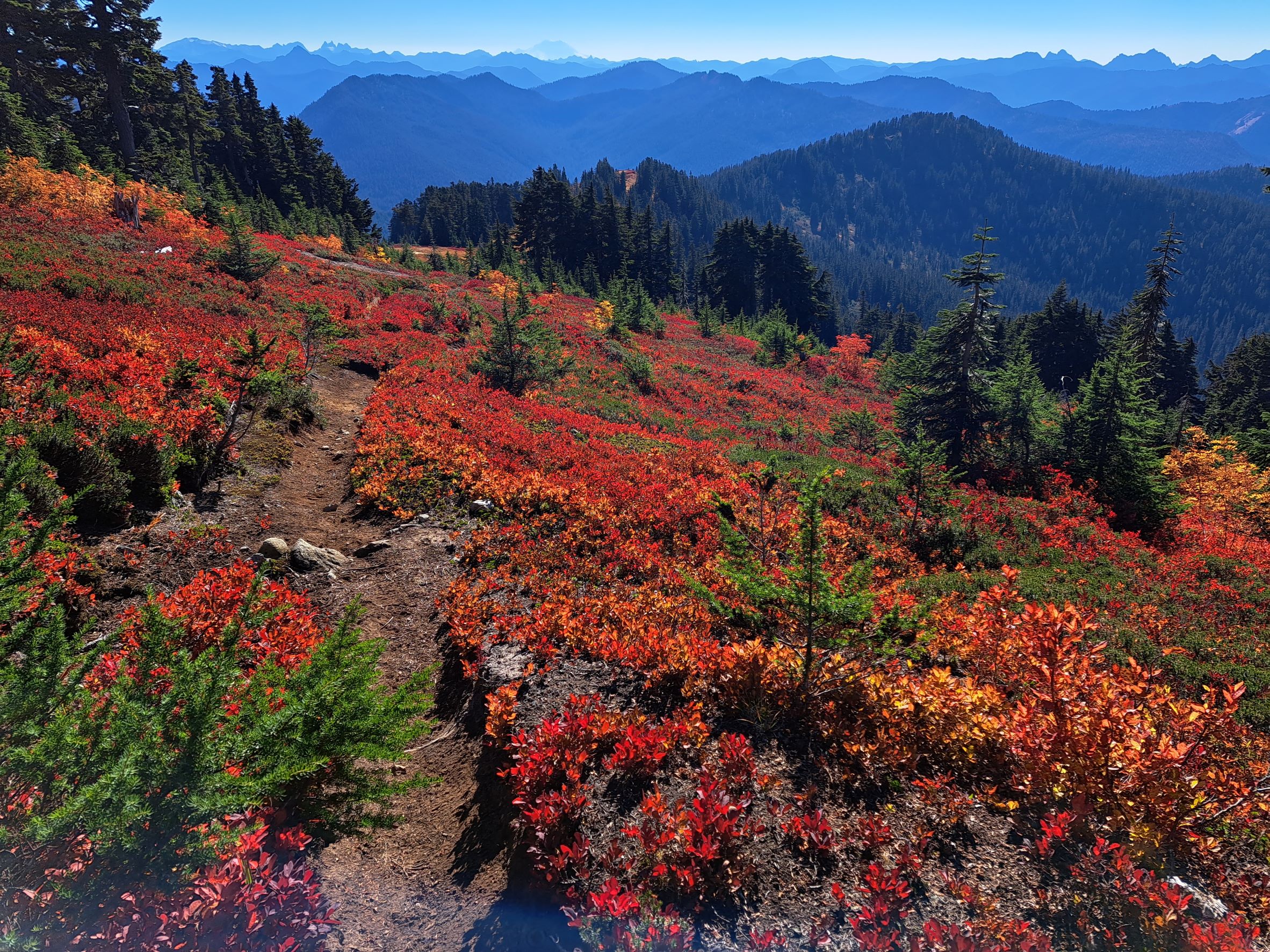 West Cady Ridge to Benchmark Mountain, Pass Creek, North Fork Skykomish ...