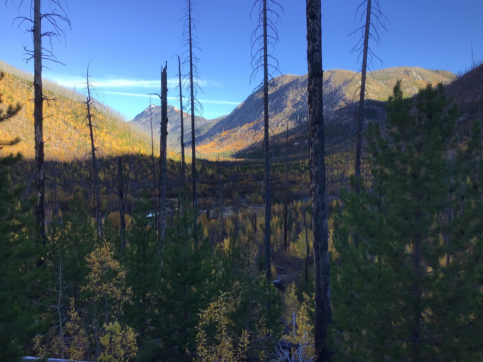 Coleman Ridge, Andrews Creek — Washington Trails Association