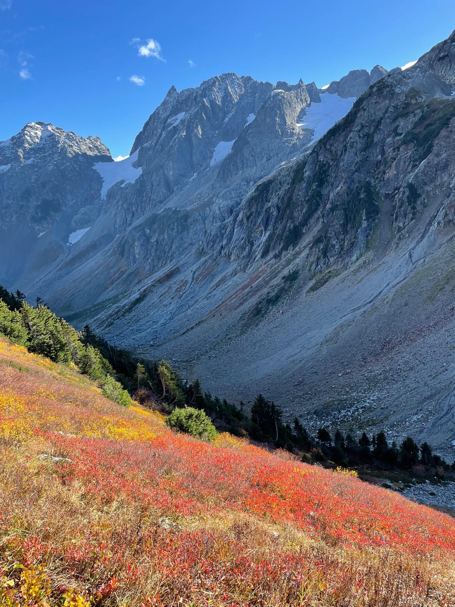 Cascade Pass, Cascade Pass and Sahale Arm — Washington Trails Association